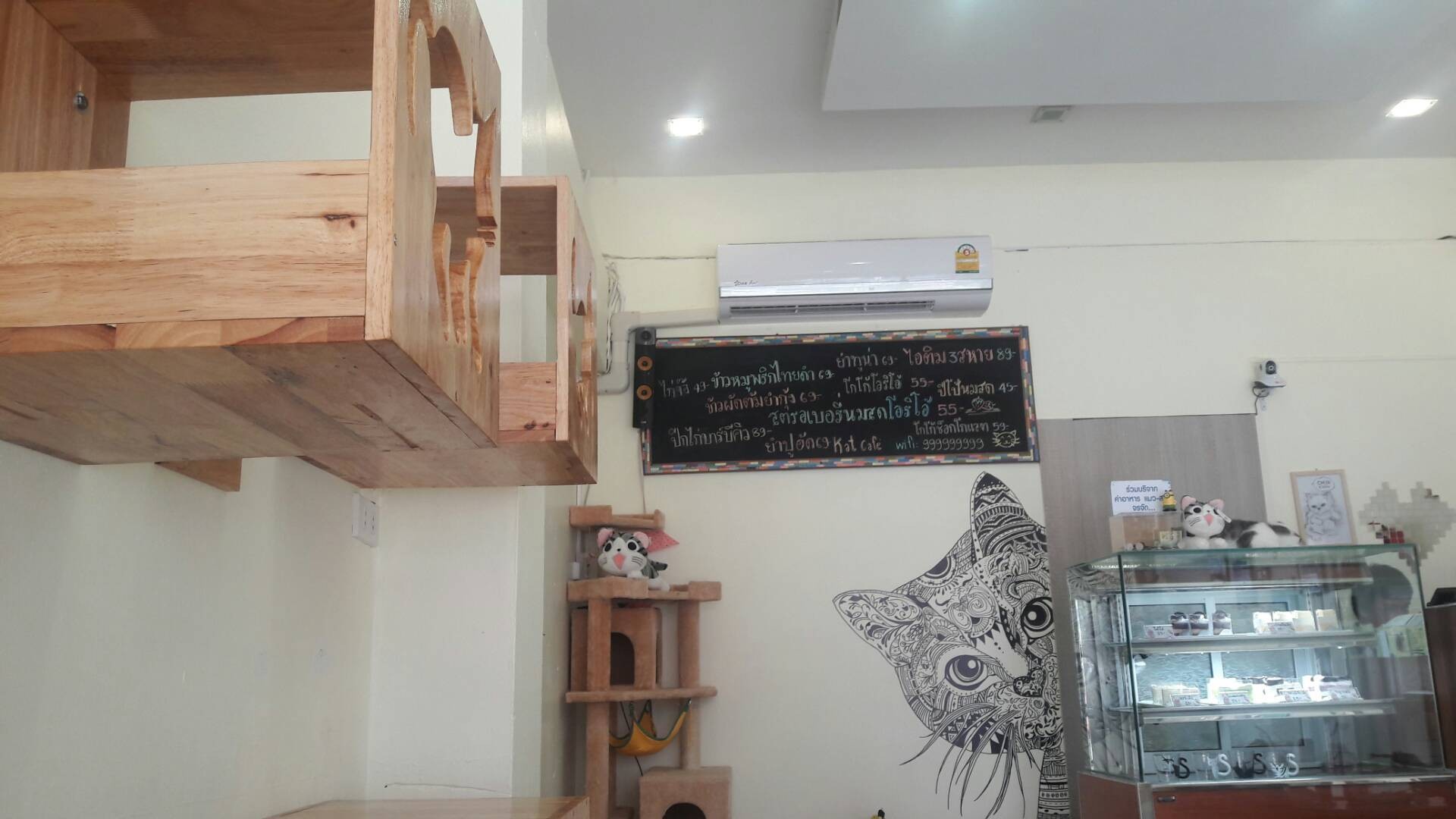 รีวิว Kat humor - นั่งกินชมน้องแมว