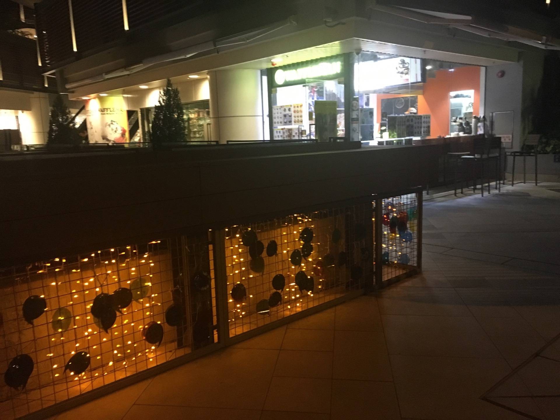 ร้าน Waffleman | รีวิวร้านอาหาร