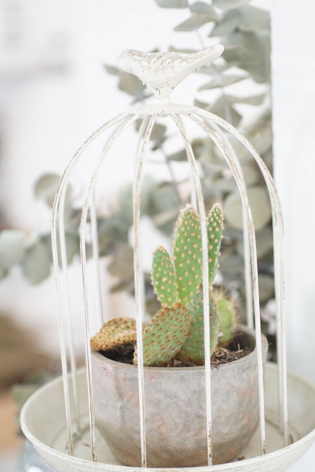 รูป The Baristro At Jingjai Market Jingjai Market