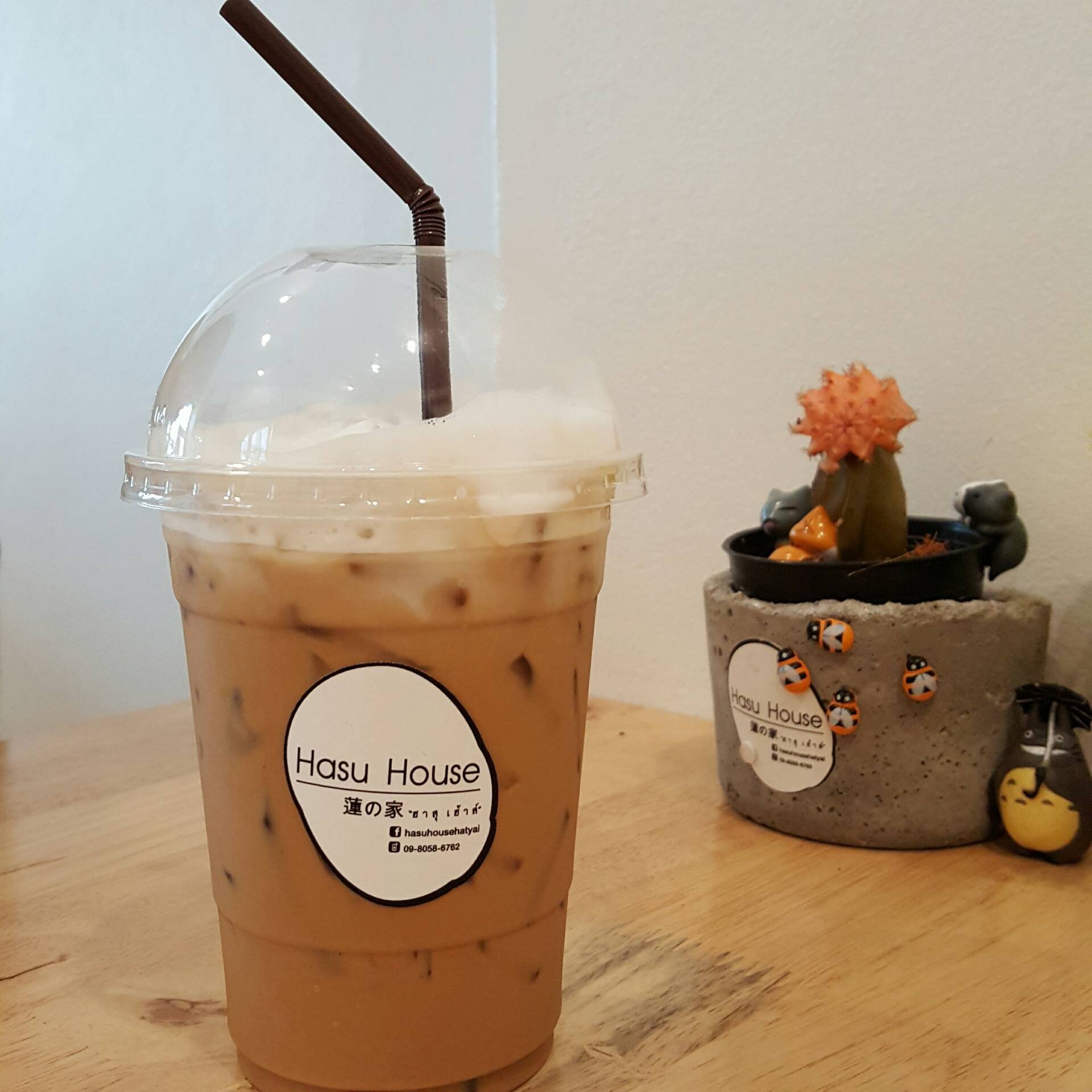 รีวิว Hasu House - ร้านสวย กาแฟดี ขนมเค้กน้อย