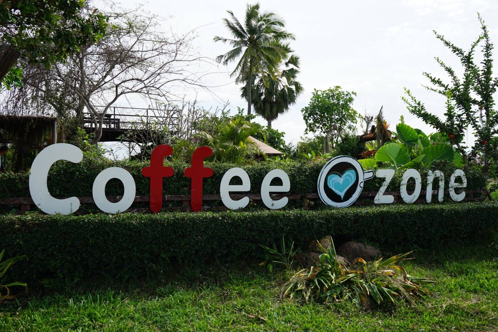 รีวิว คอฟฟี่โอโซน - ร้านกาแฟบรรยากาศดี Coffee Ozone - Wongnai