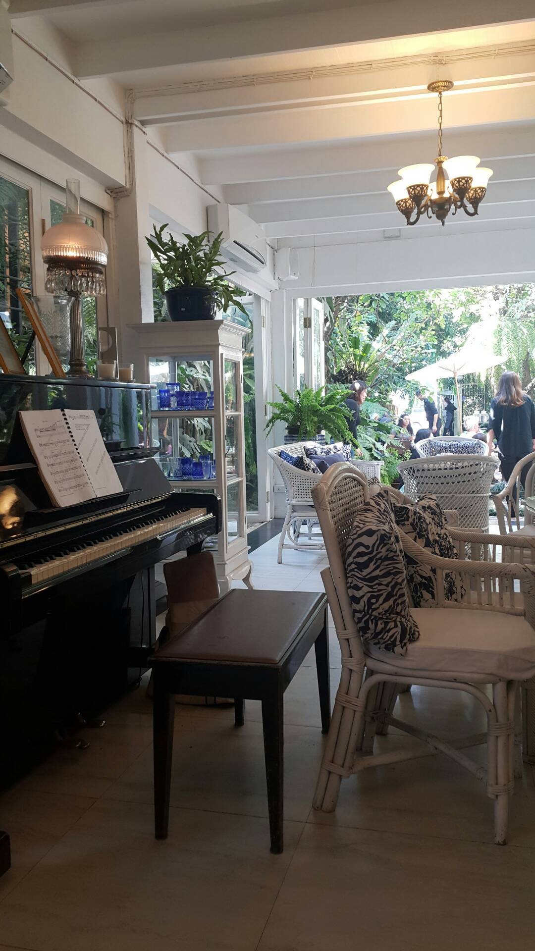 รีวิว Fern Forest Cafe - Beautiful Cafe