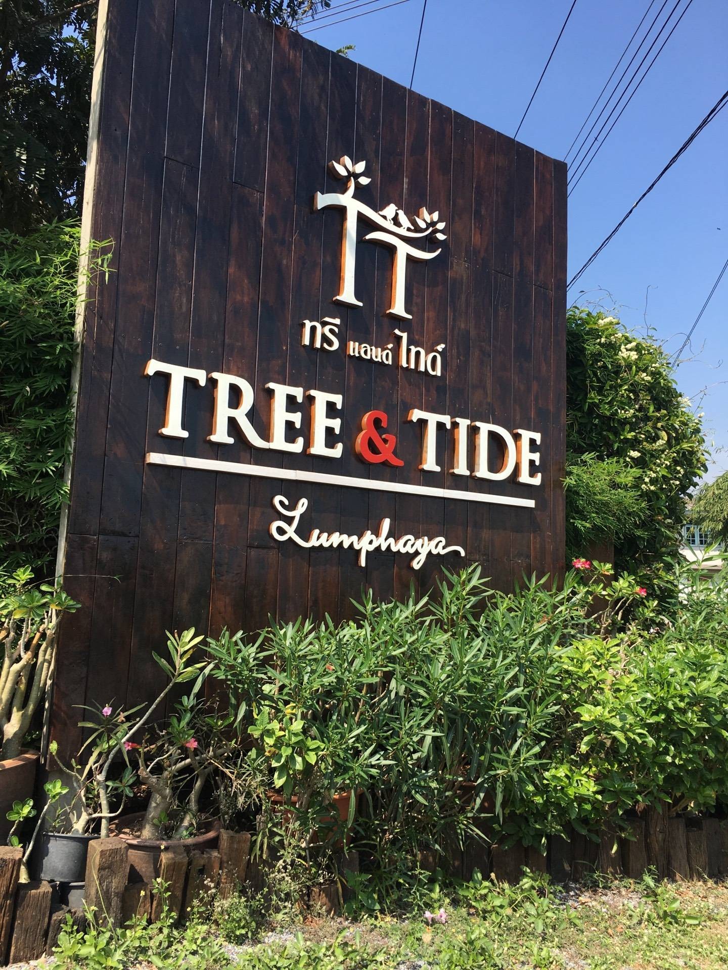 รีวิว Tree & Tide Riverside - TREE&TIDE.. - Wongnai