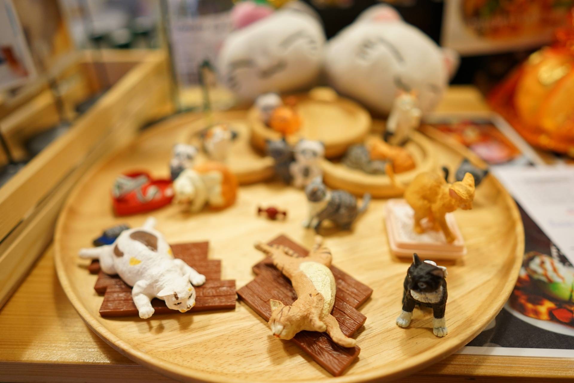 รีวิว Cat human cafe - แมวน่ารักมาก กินอะไรก็อร่อย 55 - Wongnai