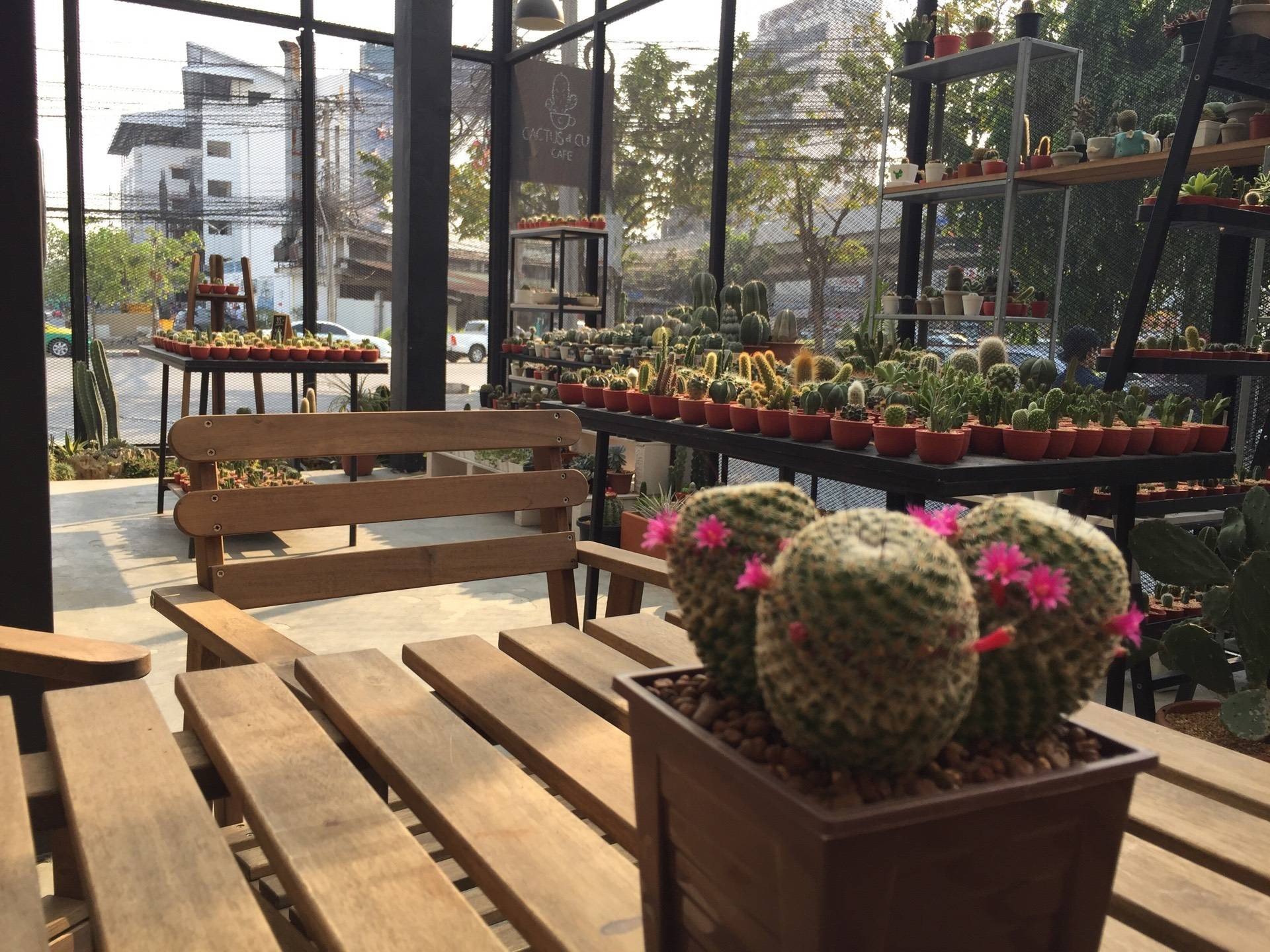 รีวิว Same cafe by Cactus & Cup cafe - คาเฟ่บรรยากาศร่มรื่นที่เปี่ยมไปด้วยกระบองเพชร