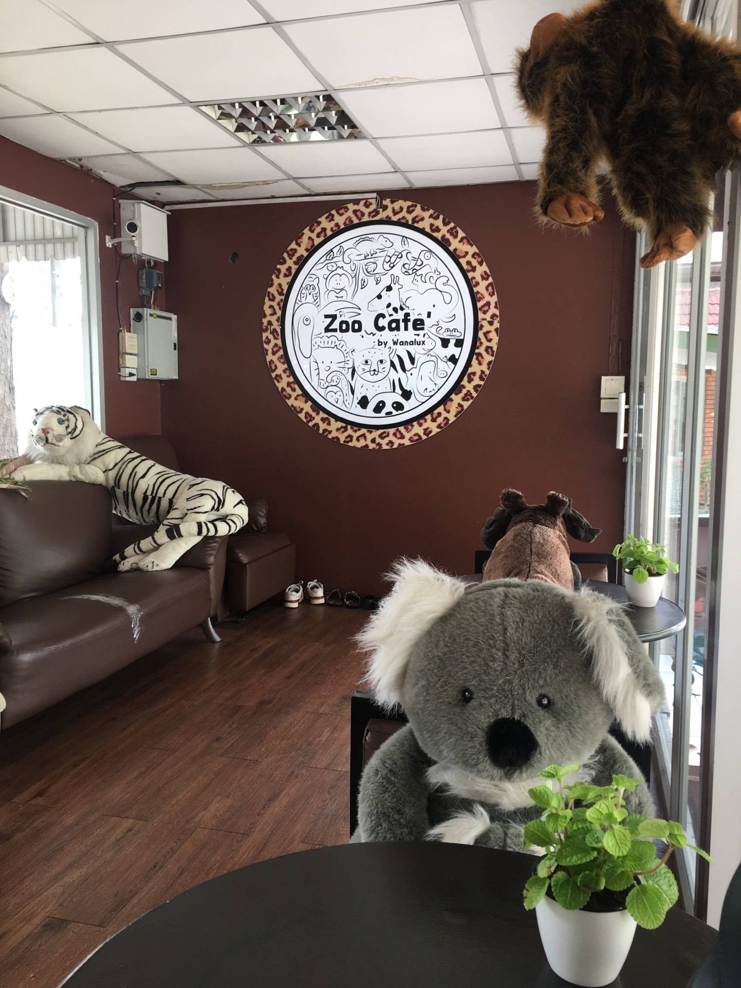ร้าน Zoo Cafe | รีวิวร้านอาหาร - Wongnai