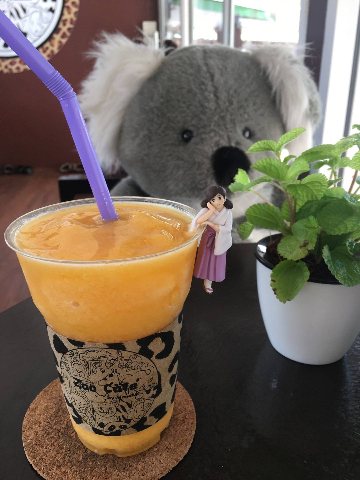 ร้าน Zoo Cafe | รีวิวร้านอาหาร - Wongnai