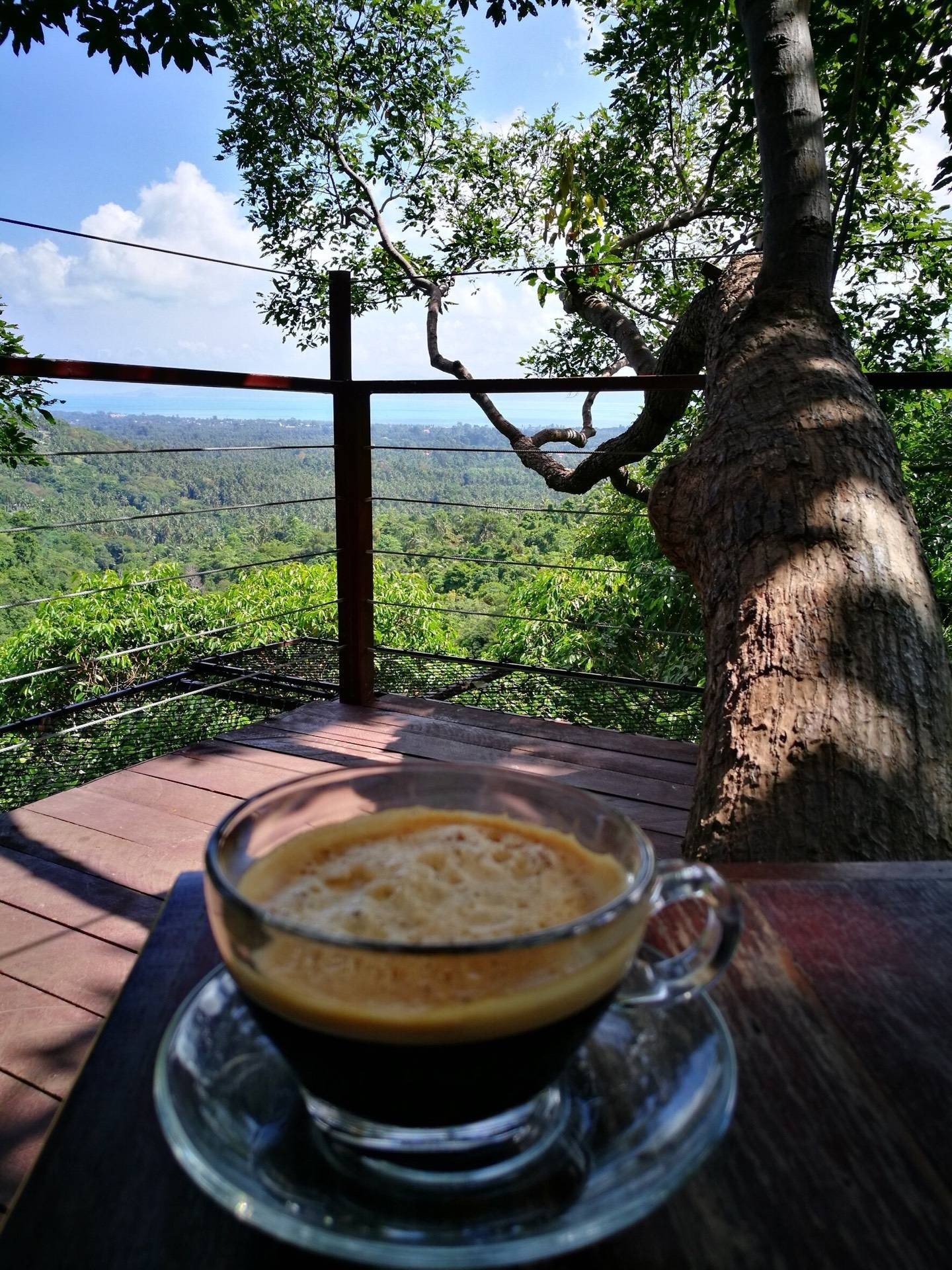 ร้าน Tree Bridge Coffee | รีวิวร้านอาหาร