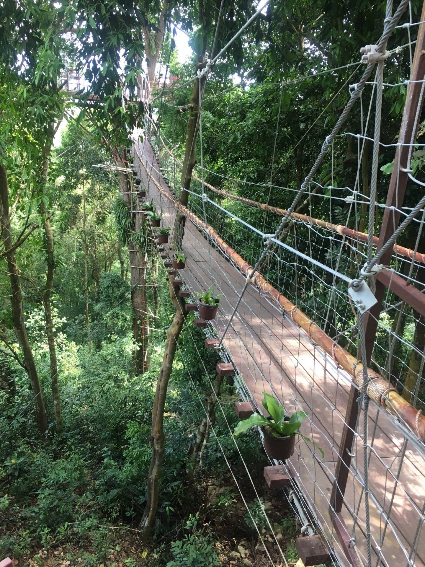 รูป Tree Bridge Coffee - Wongnai