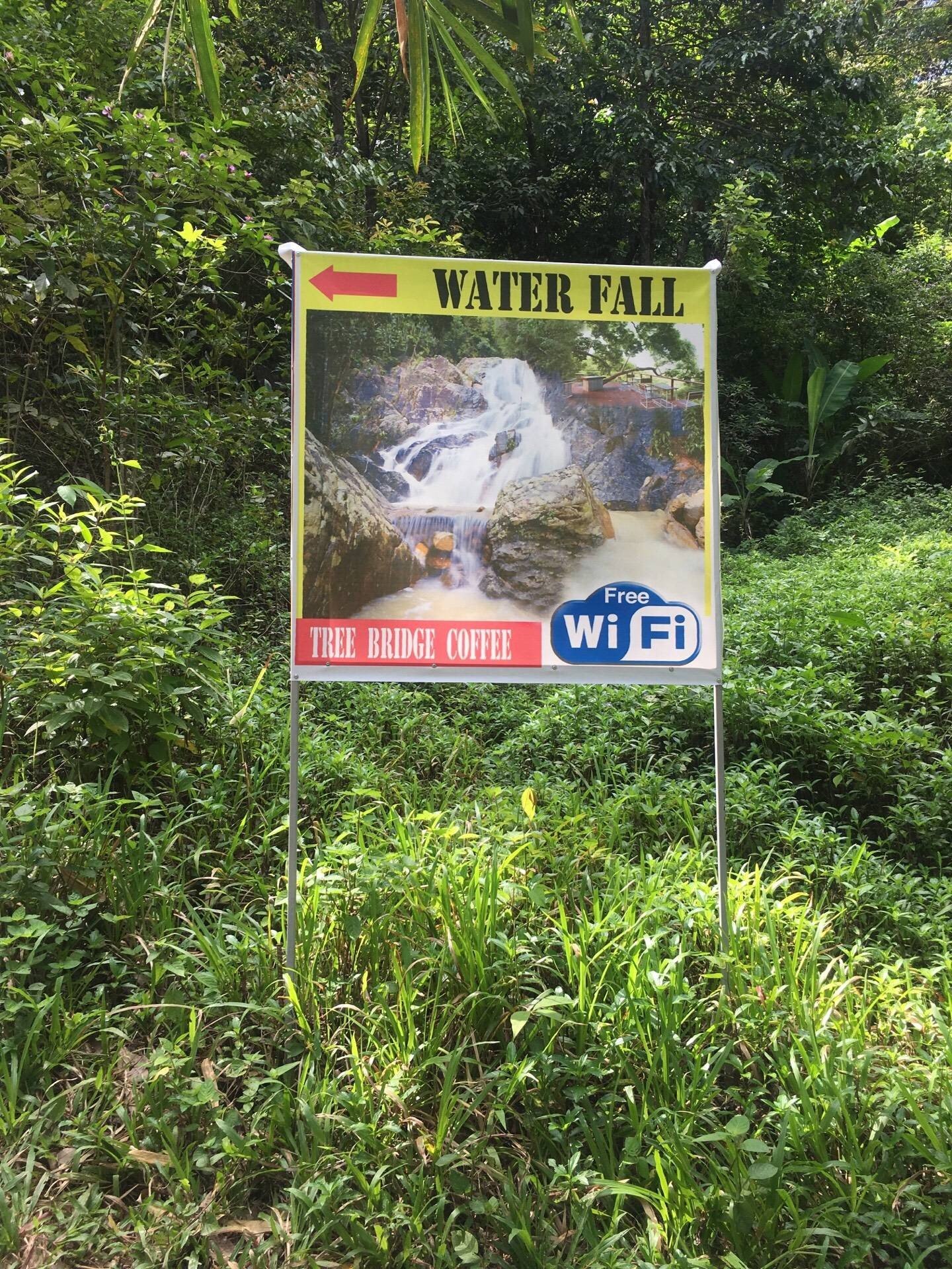 รูป Tree Bridge Coffee - Wongnai