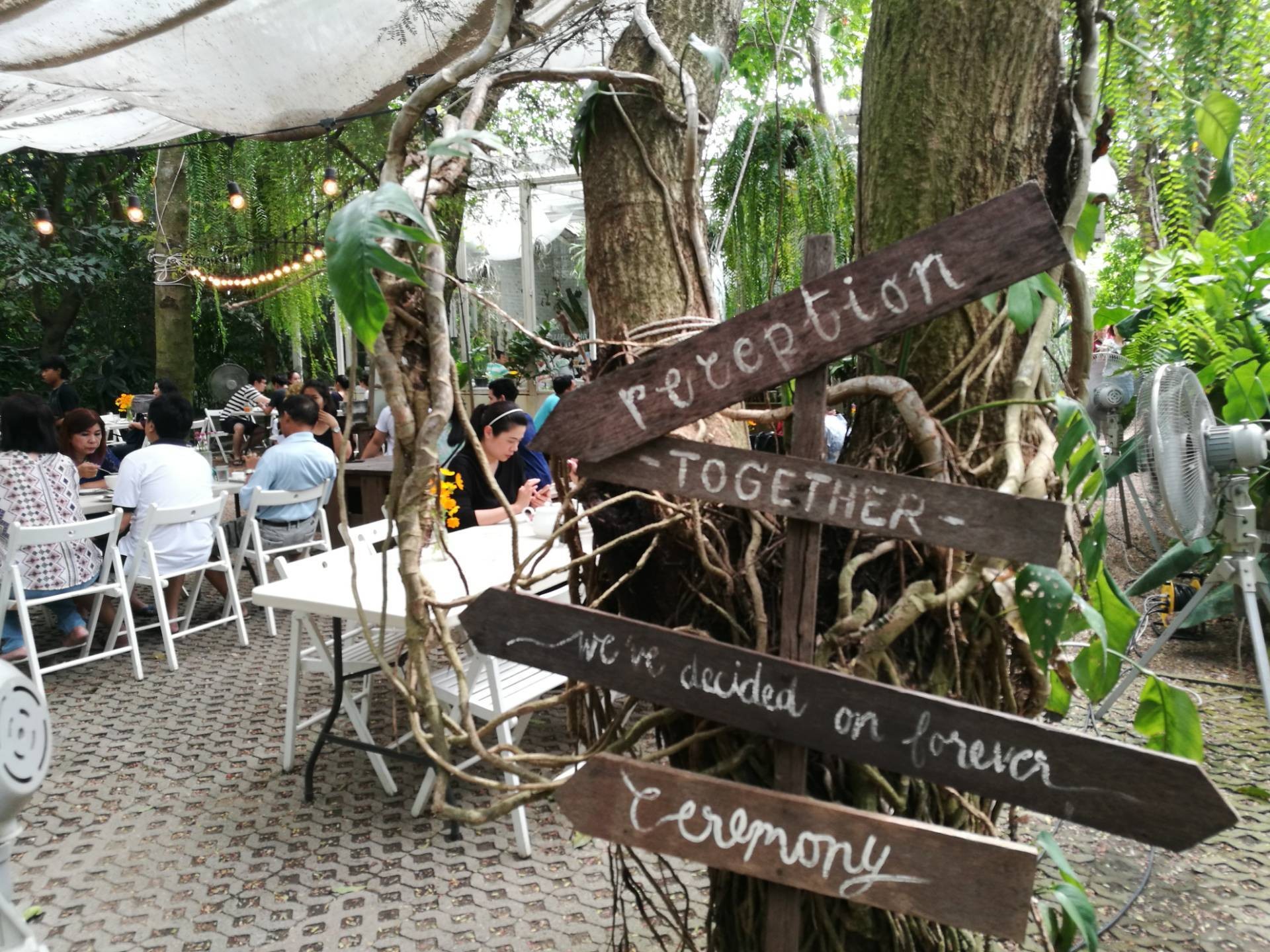 รีวิว Little Tree Garden - ทานอาหารในป่า