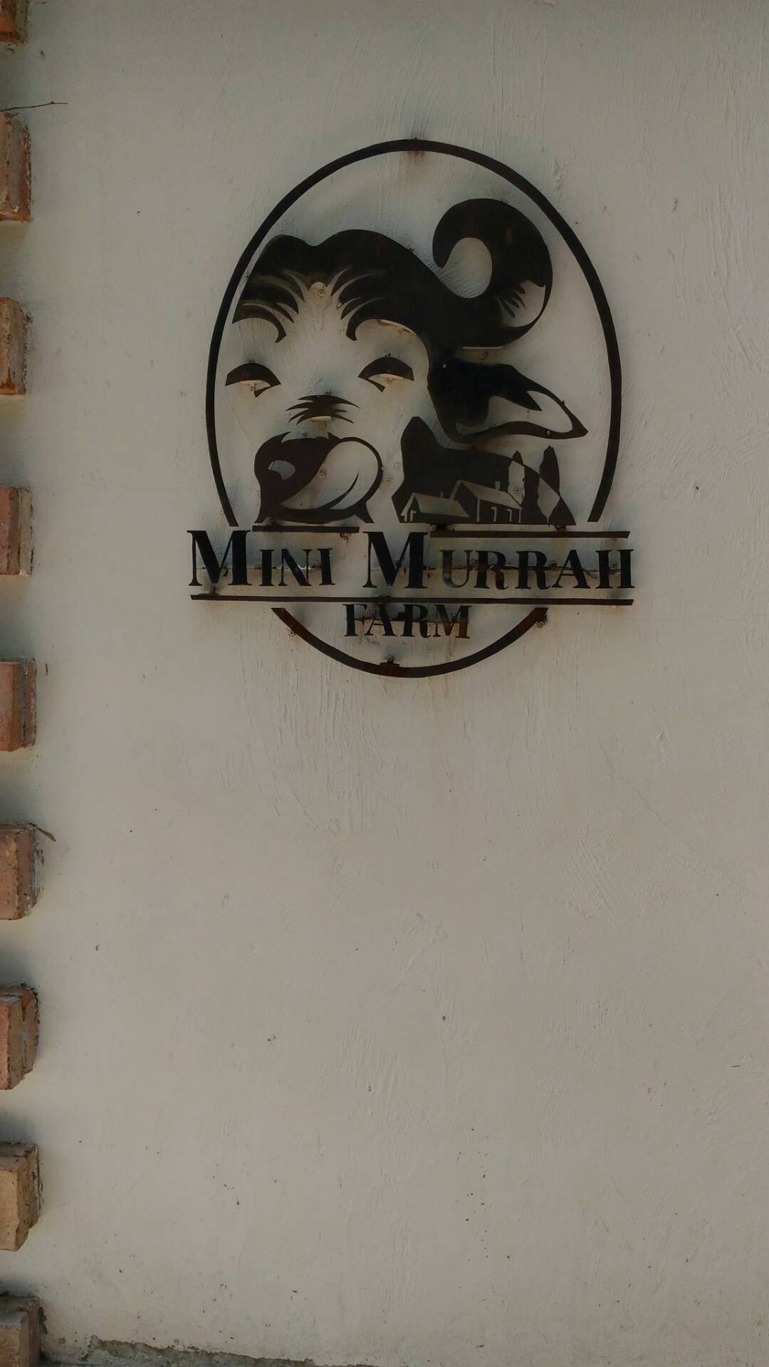 รีวิว Mini Murrah Farm ดอนทราย, บ้านโพธิ์ - มาครั้งที่ 2 แล้ว ชีส นุ่มๆ ...