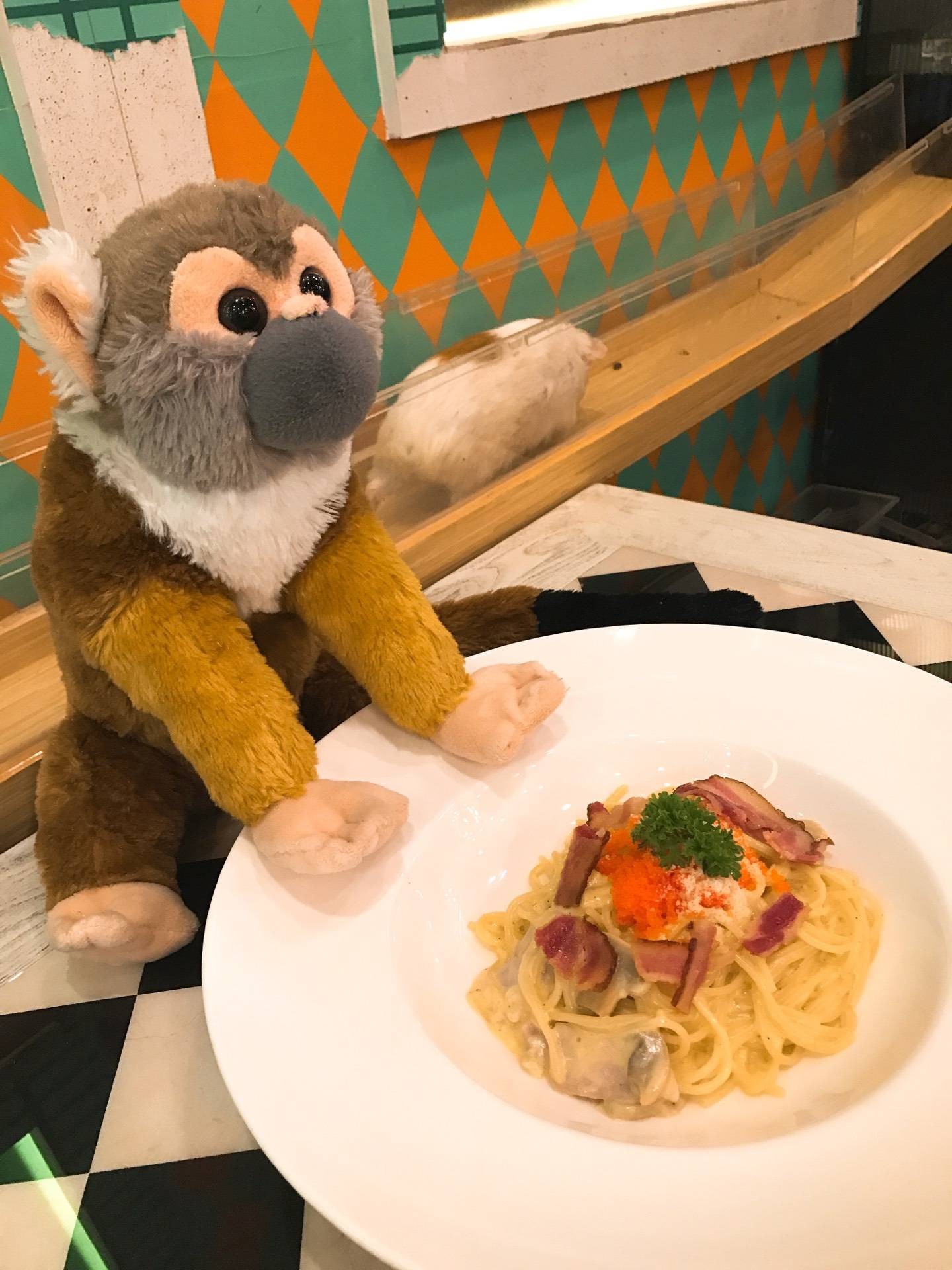 รีวิว Zoota Bistro - ร้านใหม่ เก๋ไก๋ เอาใจคนรักสัตว์ ดื่มด่ำกับอาหารใน ...