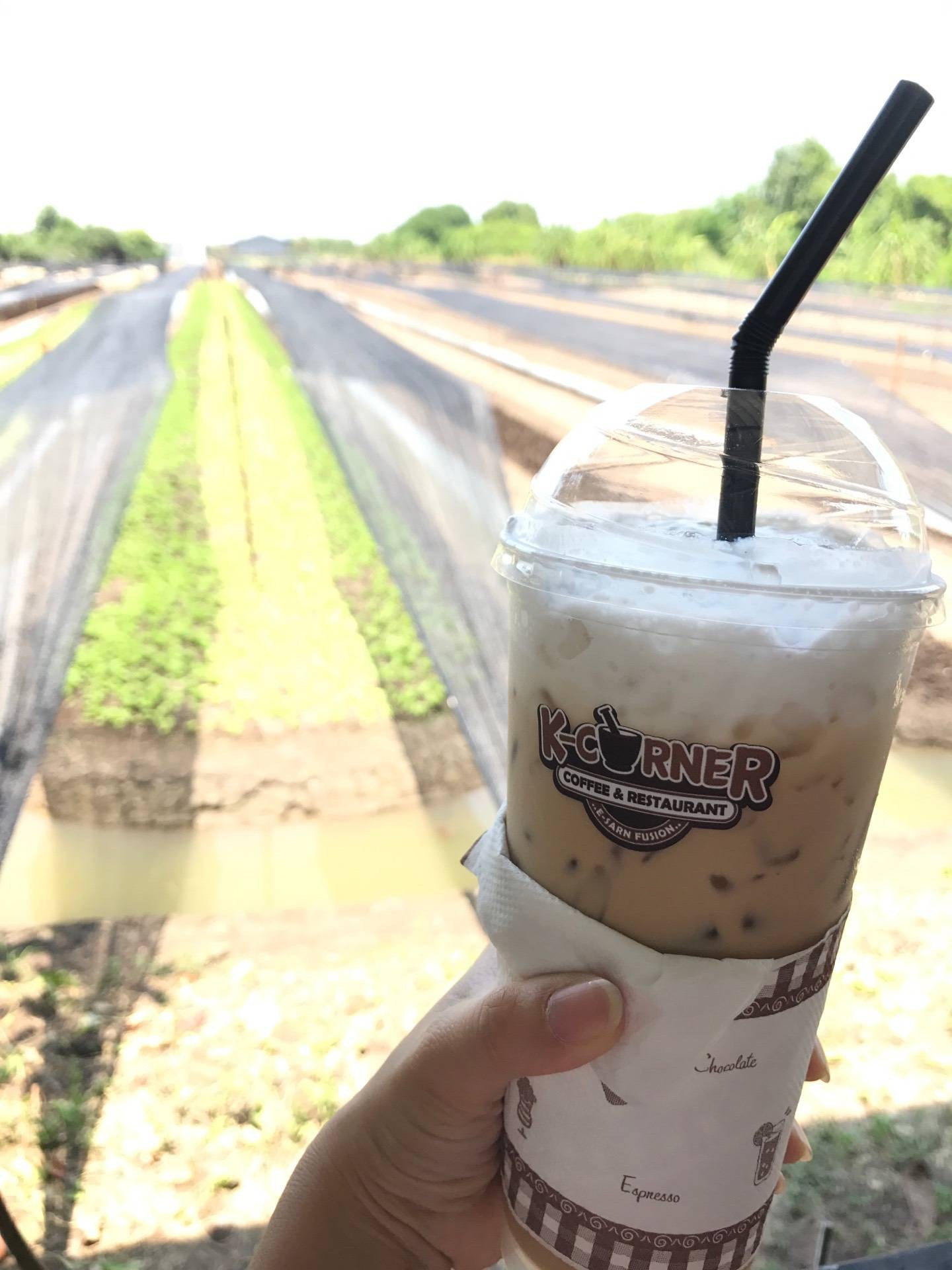 รีวิว K-corner - อาหารรสชาติดี บรรยากาศแปลงผักในสวน มีกาแฟสดให้บริการ