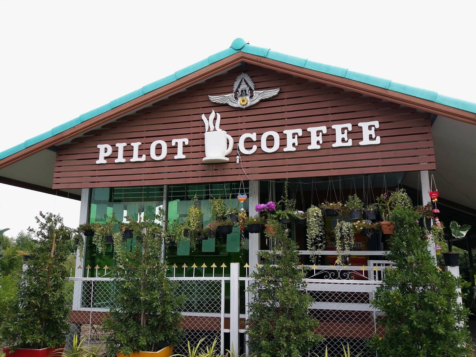 รีวิว Pilot Coffee - ราคาไม่แพง