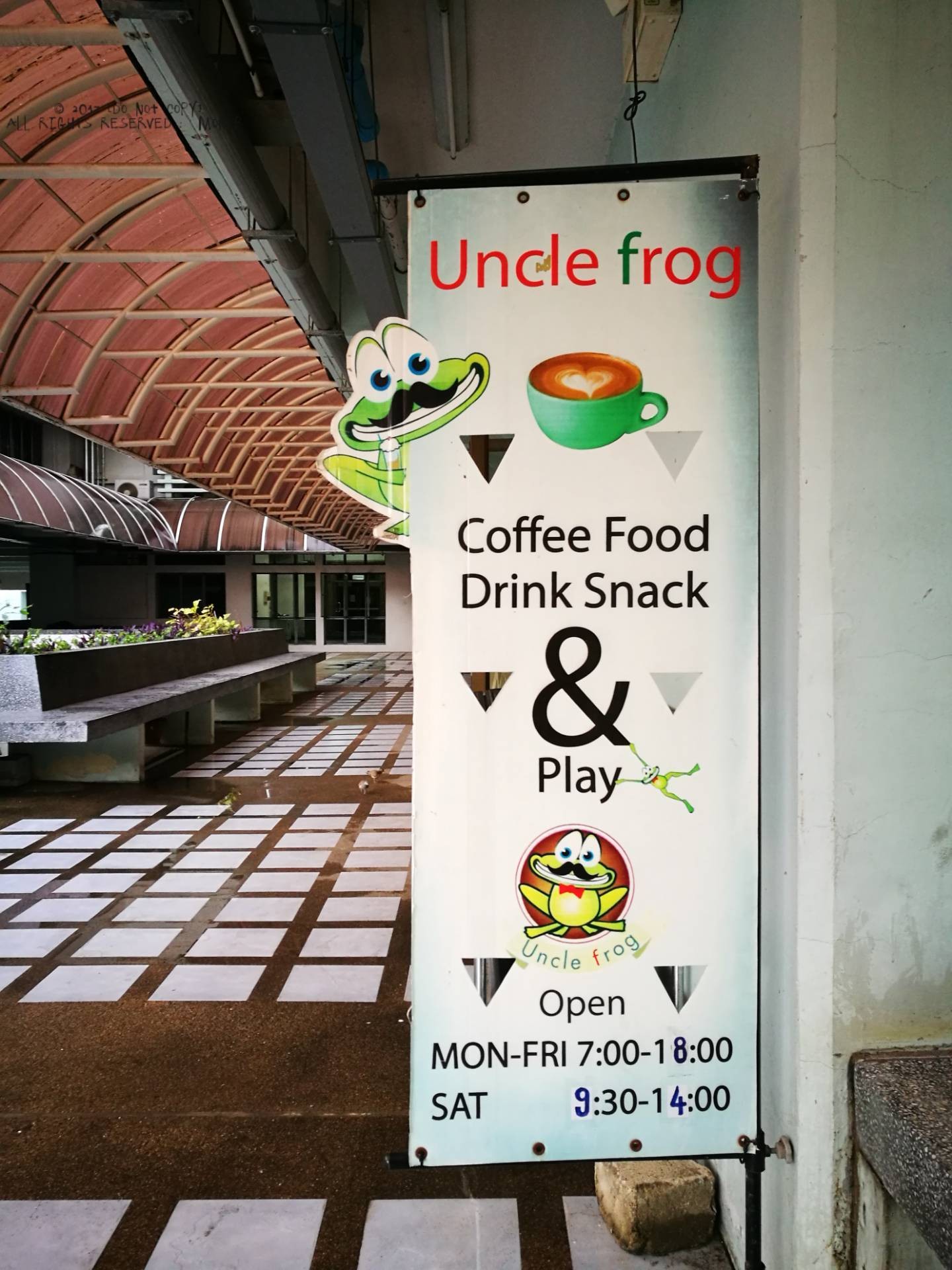 รูป Uncle Frog
