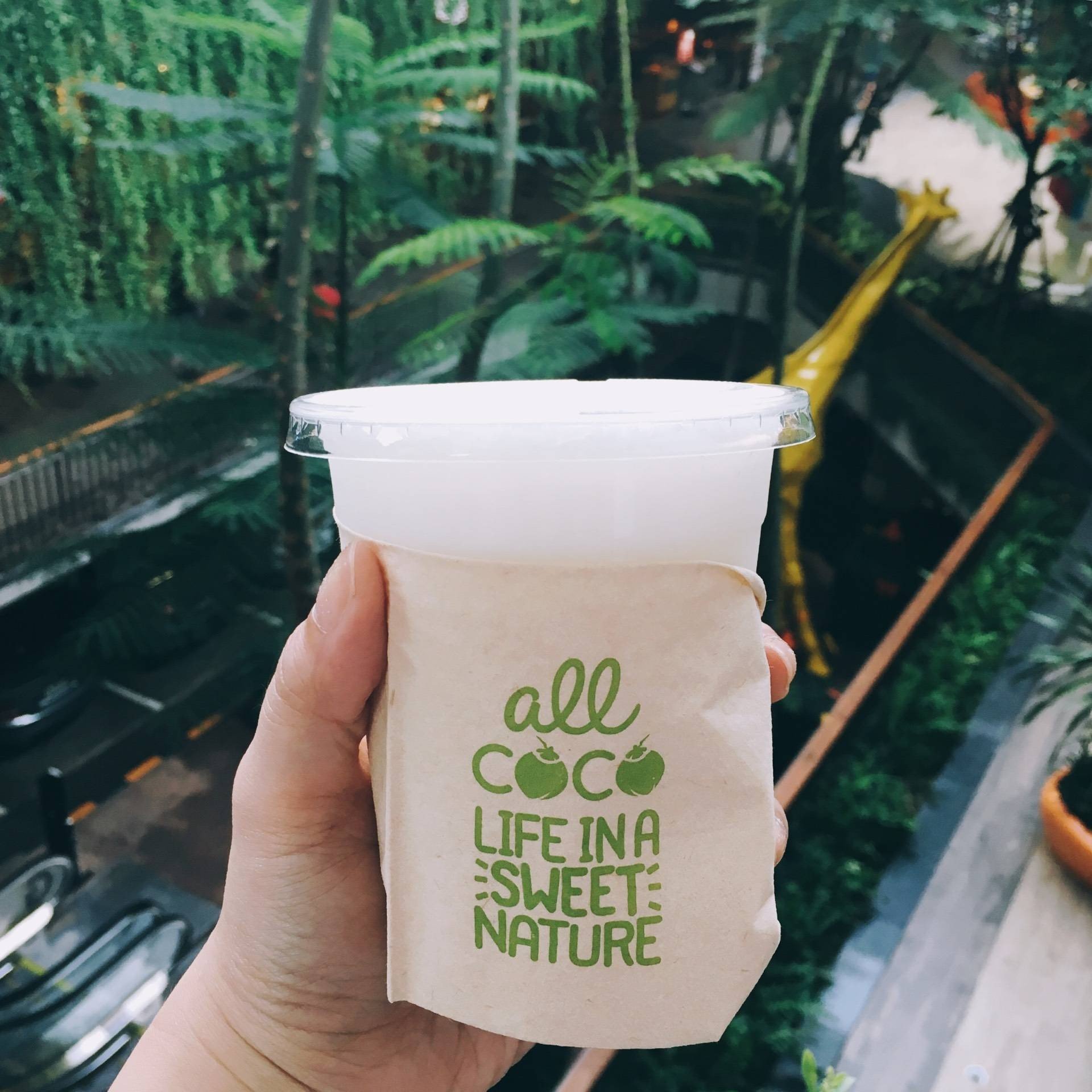 รีวิว All Coco เซ็นทรัลเวิร์ล - ชอบความหอมของมะพร้าวที่สุด