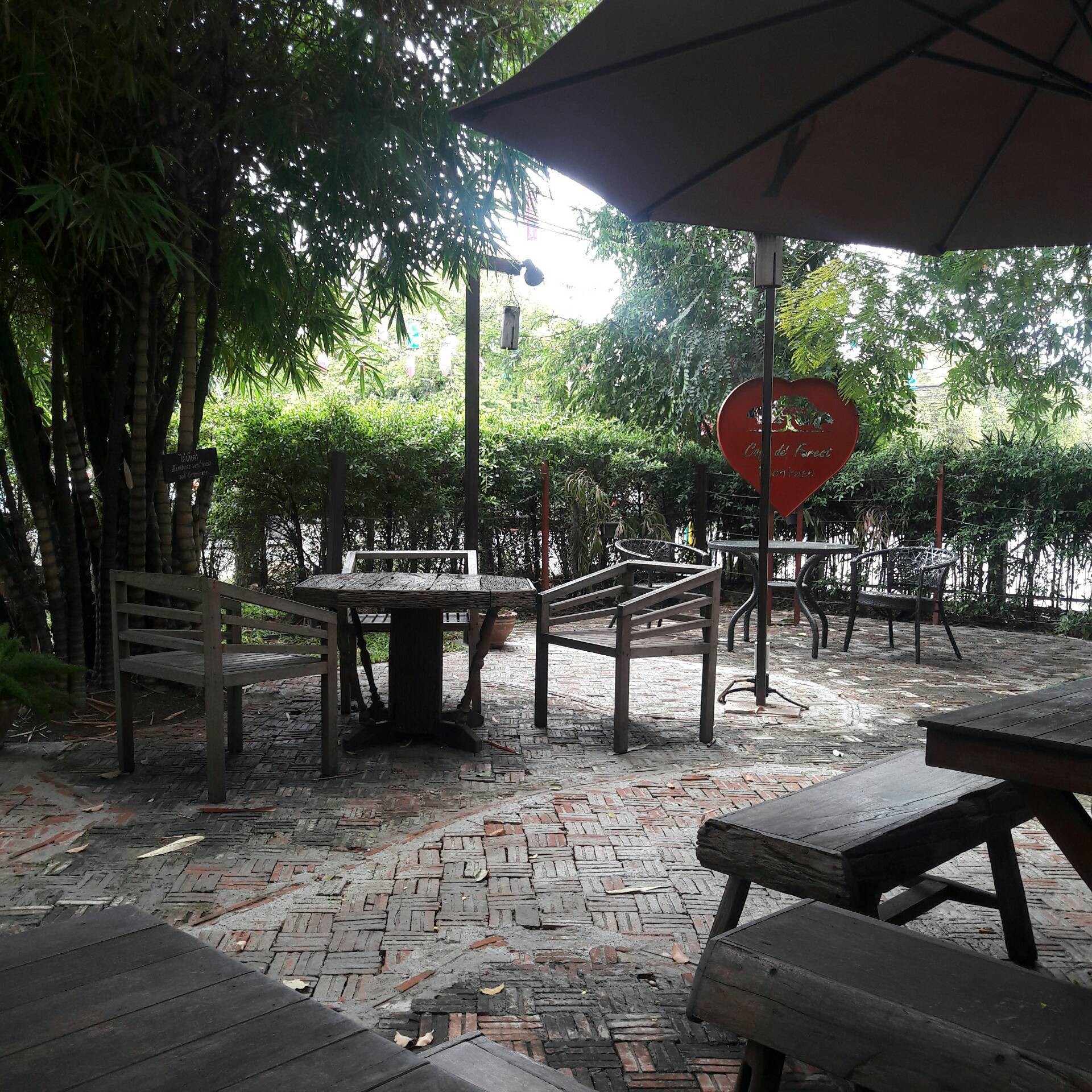 รีวิว Cafe de' Forest สำนักงานป่าไม้ - ร้านกาแฟบรรยากาศร่มรื่น น่านั่งมากๆ