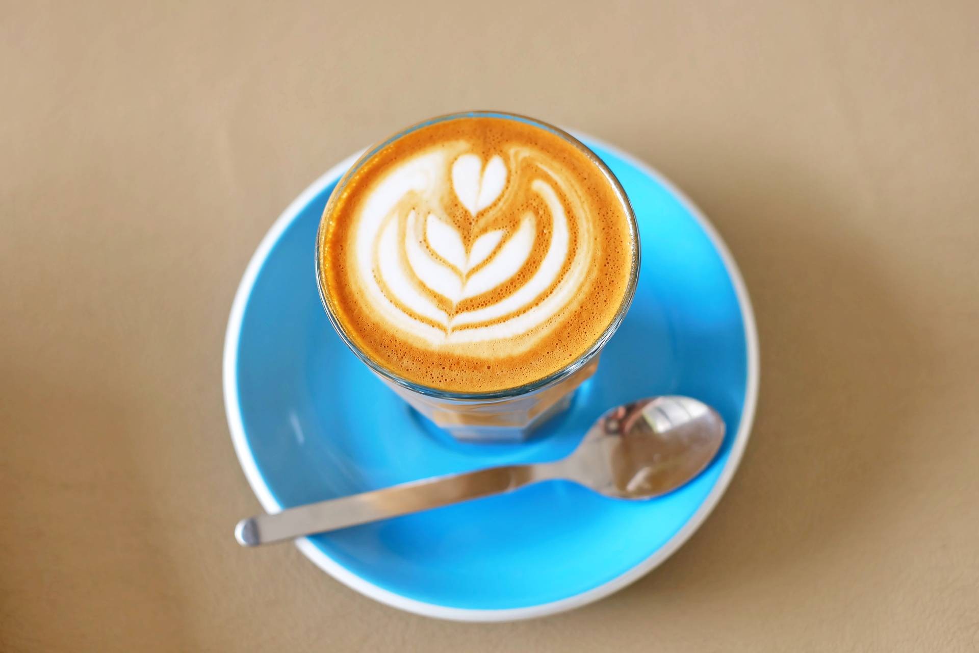 รีวิว Asama Cafe - ร้านกาแฟเชียงใหม่บรรยากาศดี สงบ ร่มรื่น รสชาติกาแฟ ...