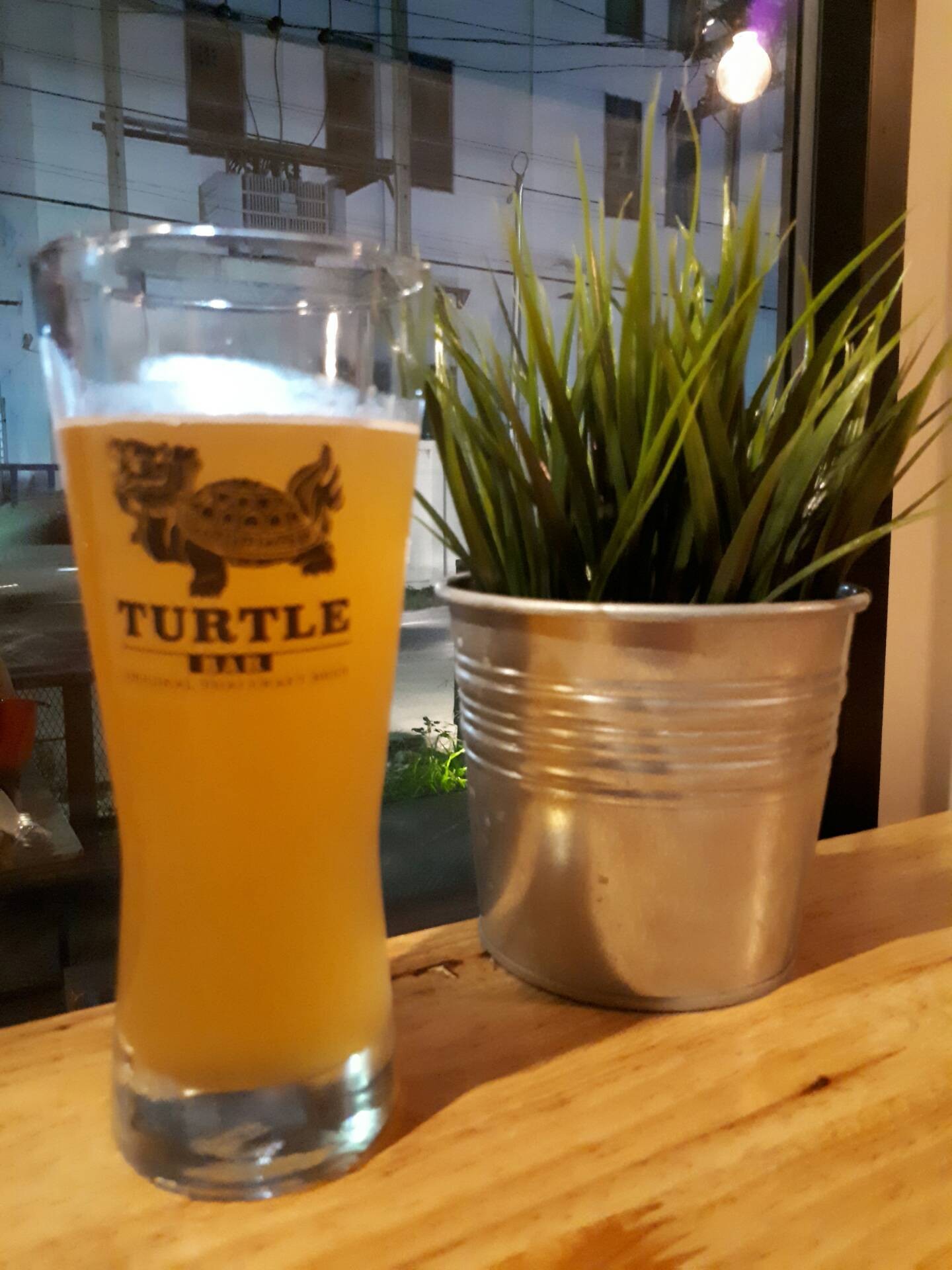 รีวิว Turtle Bar แจ้งวัฒนะ-ปากเกร็ด19 - ร้านเล็ก ๆ บรรยากาศสบาย ๆ - Wongnai
