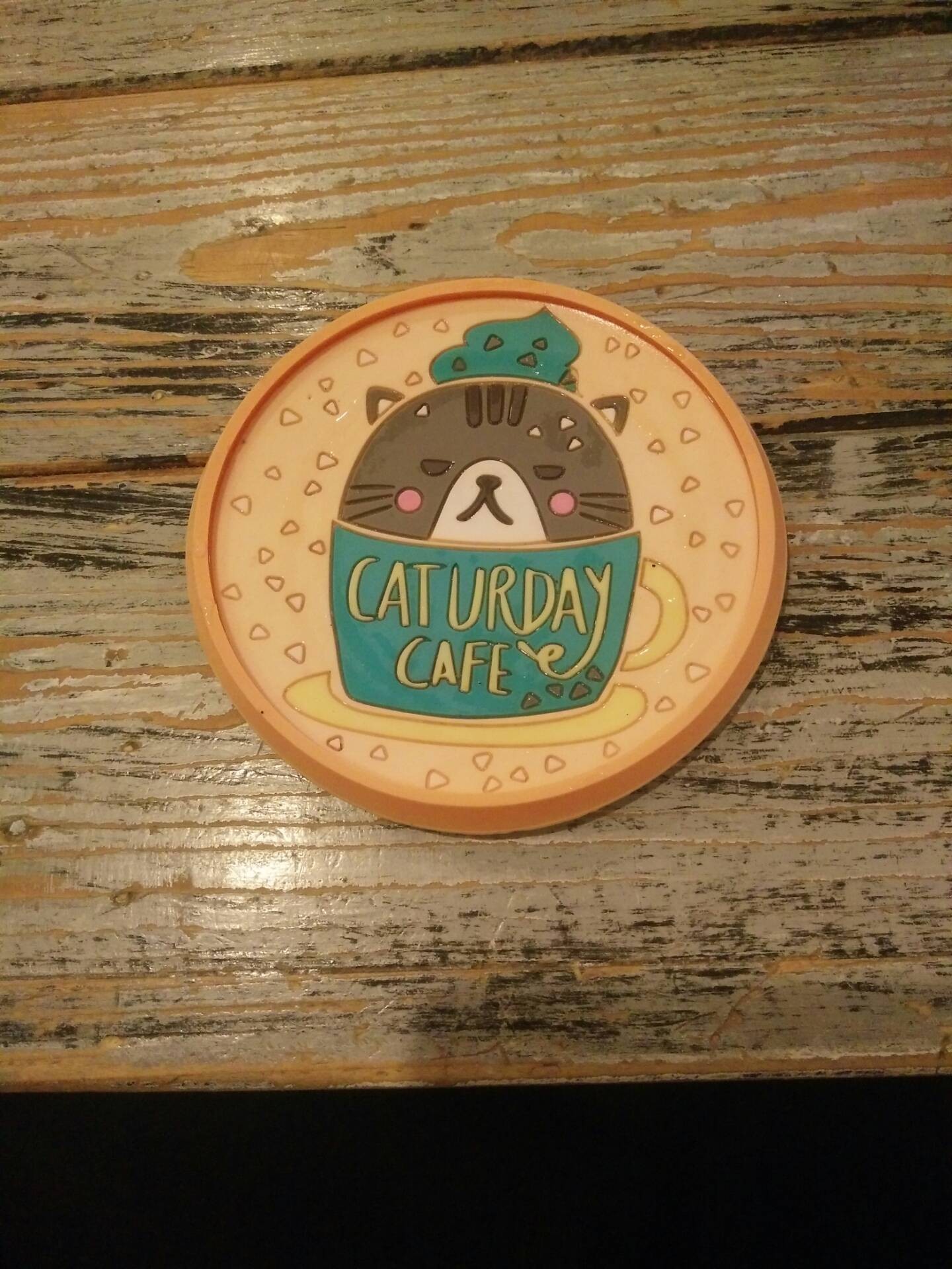 รีวิว Caturday cat cafe - บรรยากาศดี เหมาะสำหรับคนรักแมว