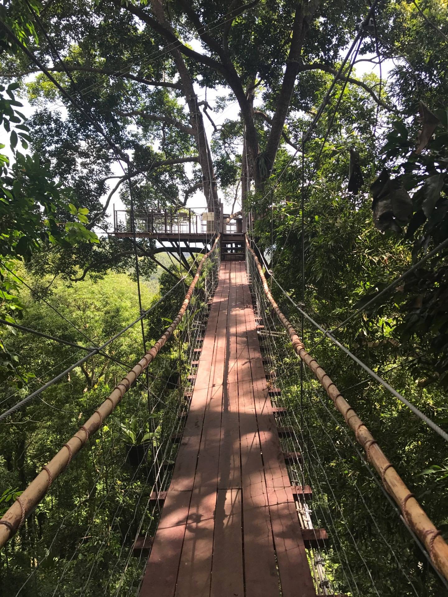 รูป Tree Bridge Coffee - Wongnai