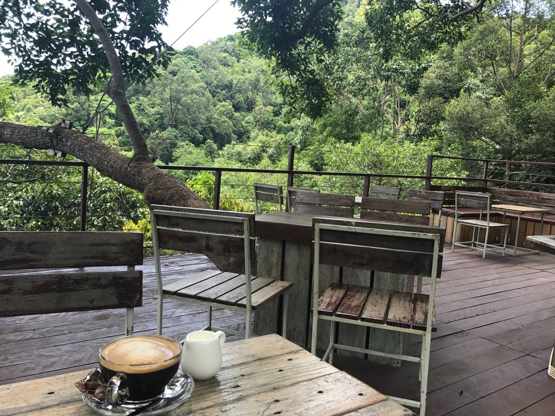 รูป Tree Bridge Coffee - Wongnai