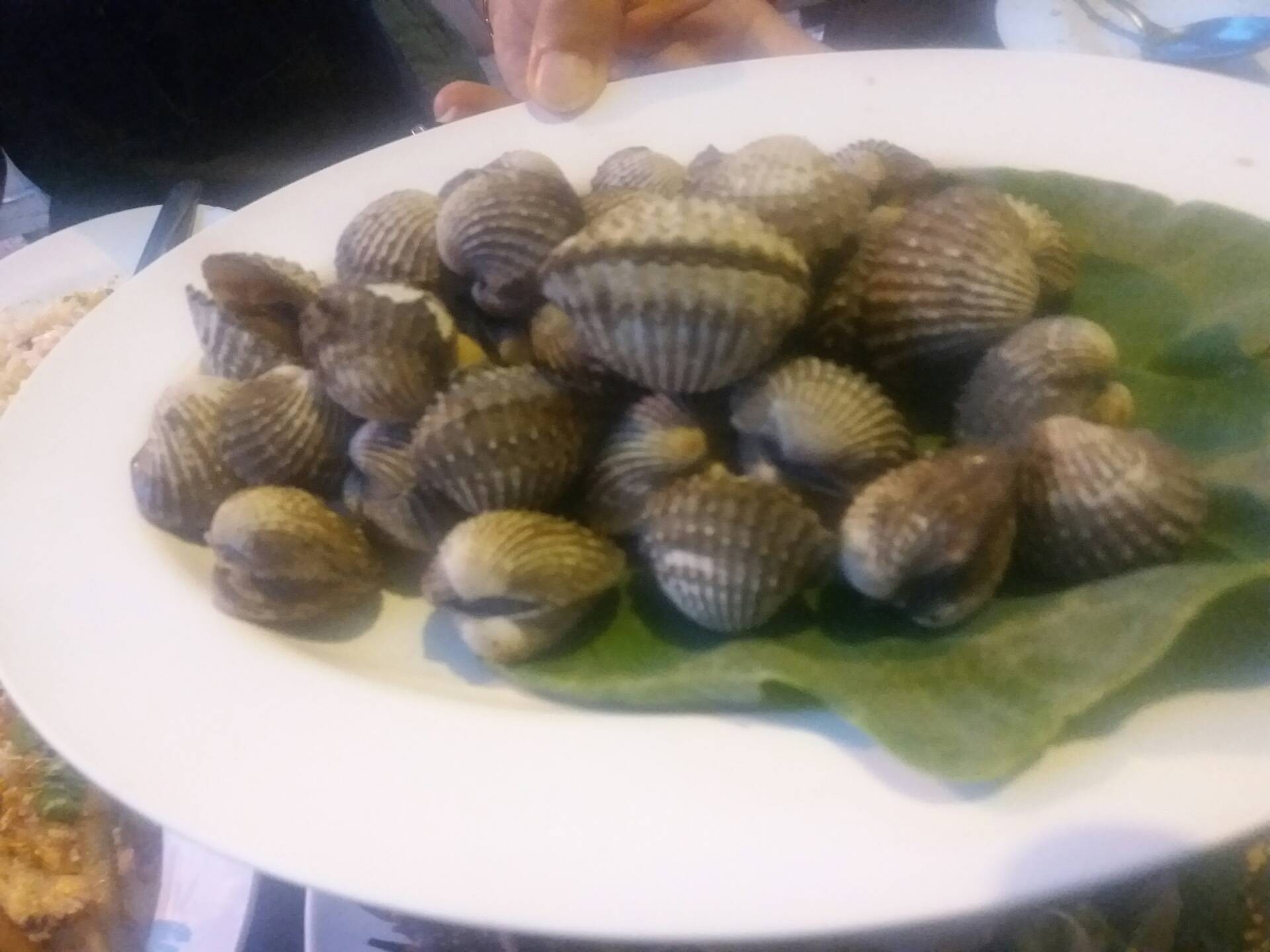 รีวิว ร้านอาหารหาดทิพย์ซีฟู้ด - อาหารสด อร่อย บริการดี เป็นกันเอง