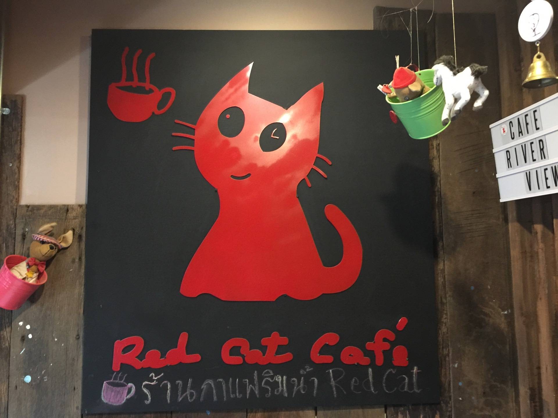 รีวิว Red Cat Cafe ฉะเชิงเทรา - บรรยากาศดีมาก - Wongnai