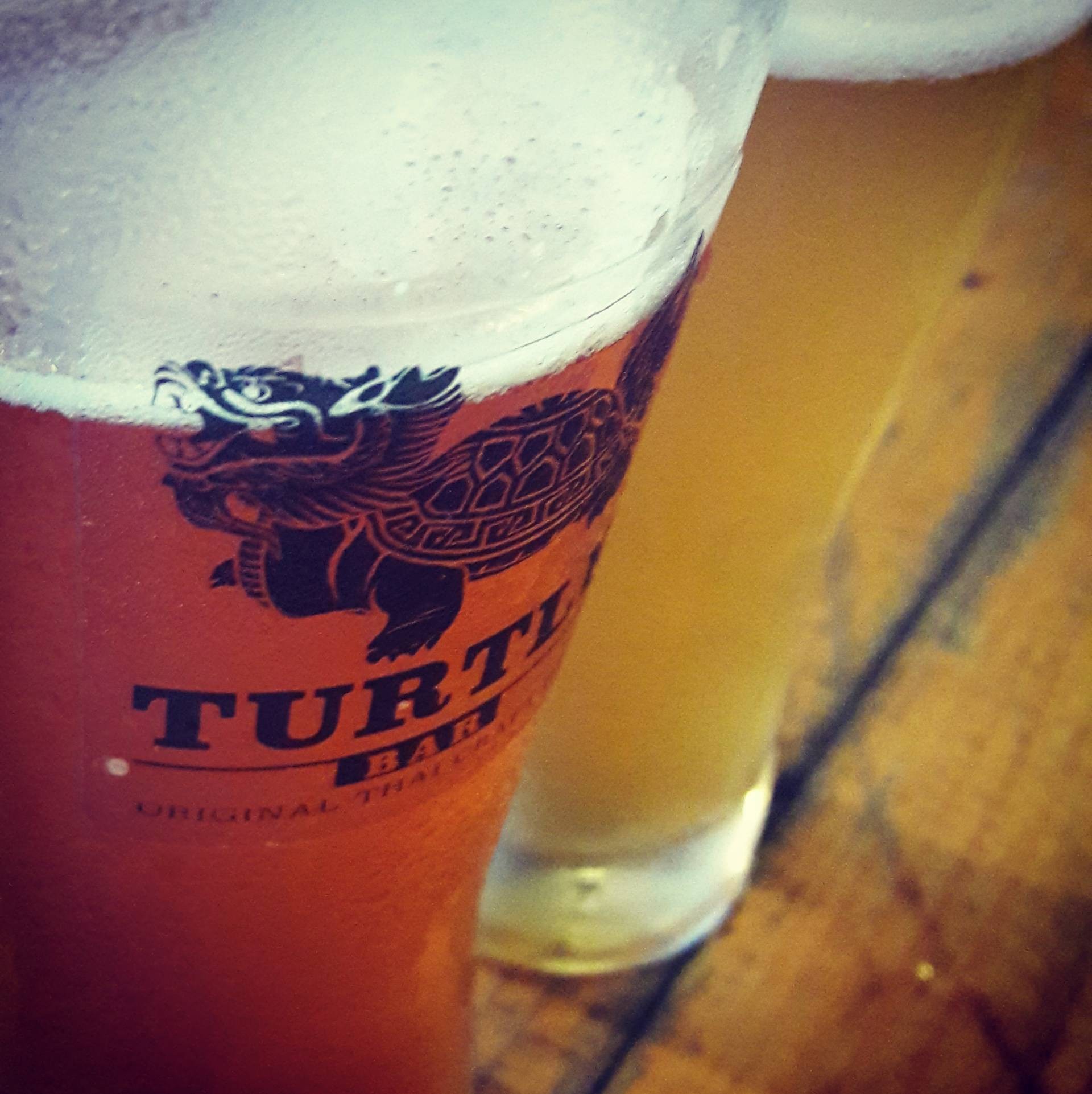 รีวิว Turtle Bar แจ้งวัฒนะ-ปากเกร็ด19 - เบียร์สดไทยในราคาเบาๆ