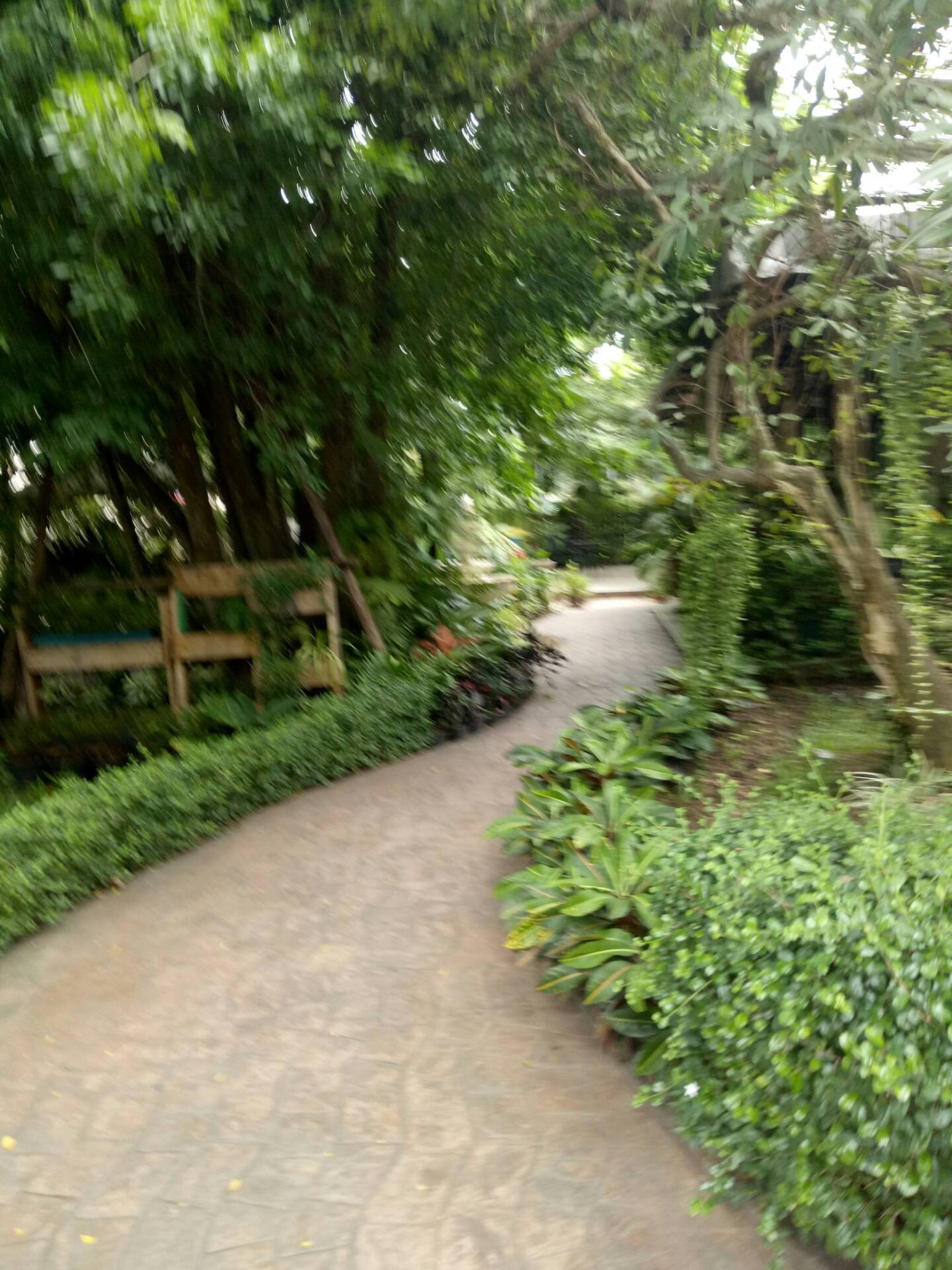 รีวิว PATA PLANTATION - ร้านสวย บรรยากาศดี - Wongnai