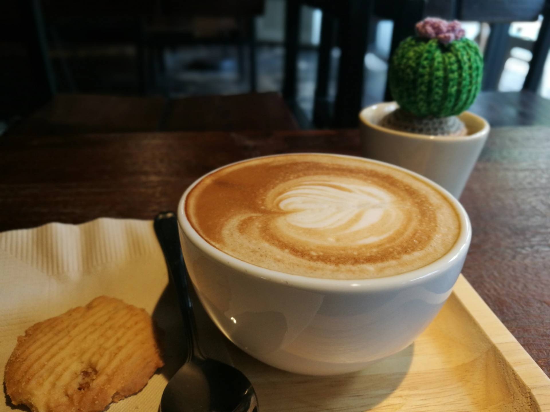 รีวิว Coffee Gapi - ร้านที่ตามหามานาน ในย่านสะพานควาย บรรยากาศโดยรวม ...