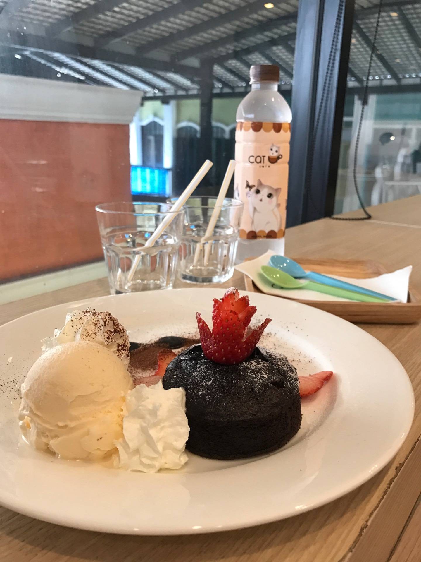 รีวิว Cat Up Cafe The UP Rama 3 - น้องแมวน่ารัก บางตัวคึก บางตัวป่วย