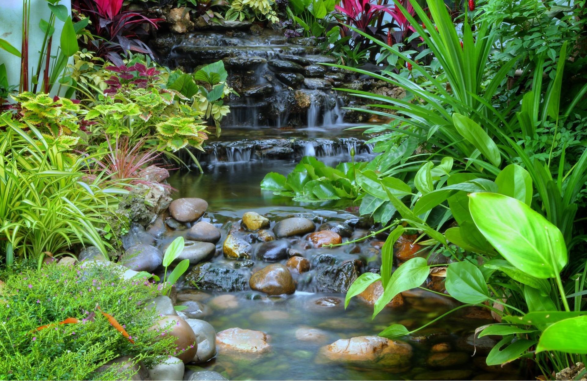 รีวิว Rich Garden House Homemade Bakery & Cafe - บรรยากาศดี ขนมโดน ยังง ...