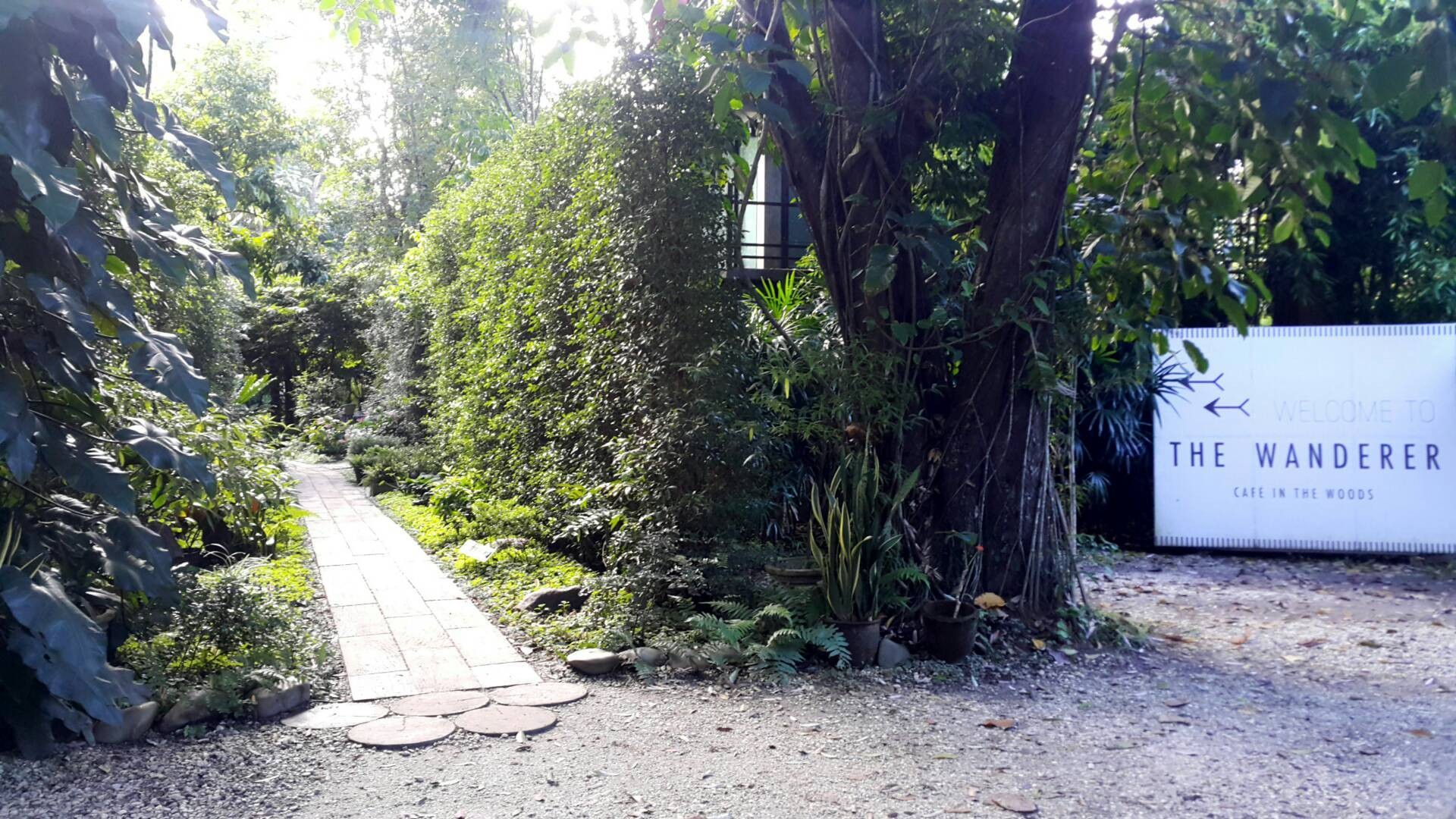 รีวิว The Wanderer - cafe in the woods แต๊ๆเลย - Wongnai