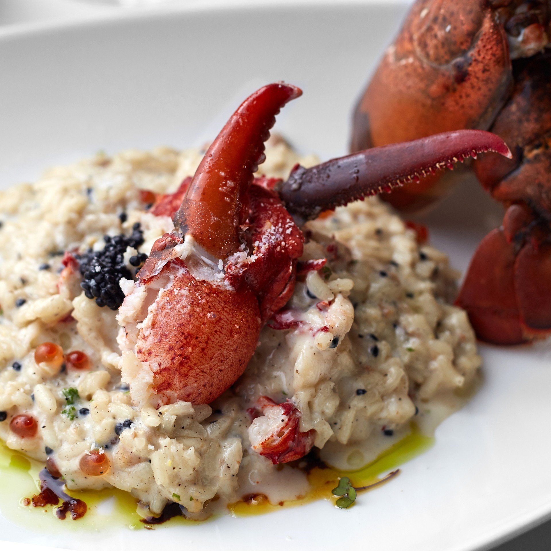 ร้าน Italian osteria | รีวิวร้านอาหาร