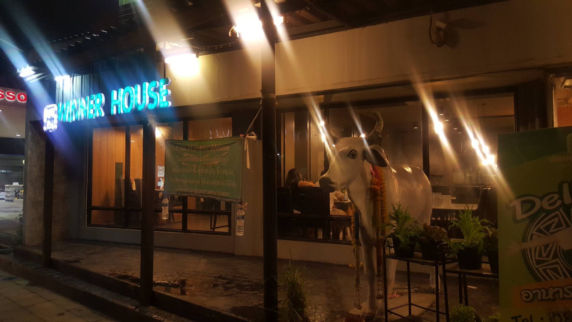 รีวิว Winner House วังหิน - อาหารเวียดนามผักออแกนิค