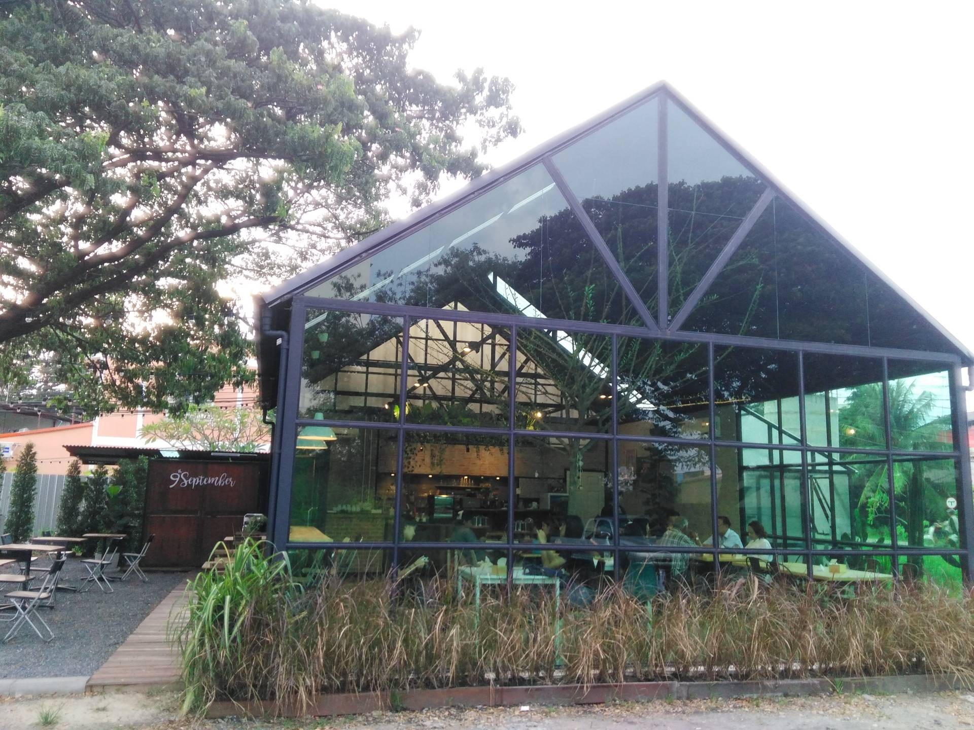 รีวิว 9th September Eat Drink Tree - ชอบที่บรรยากาศของร้าน มีขายทั้ง ...