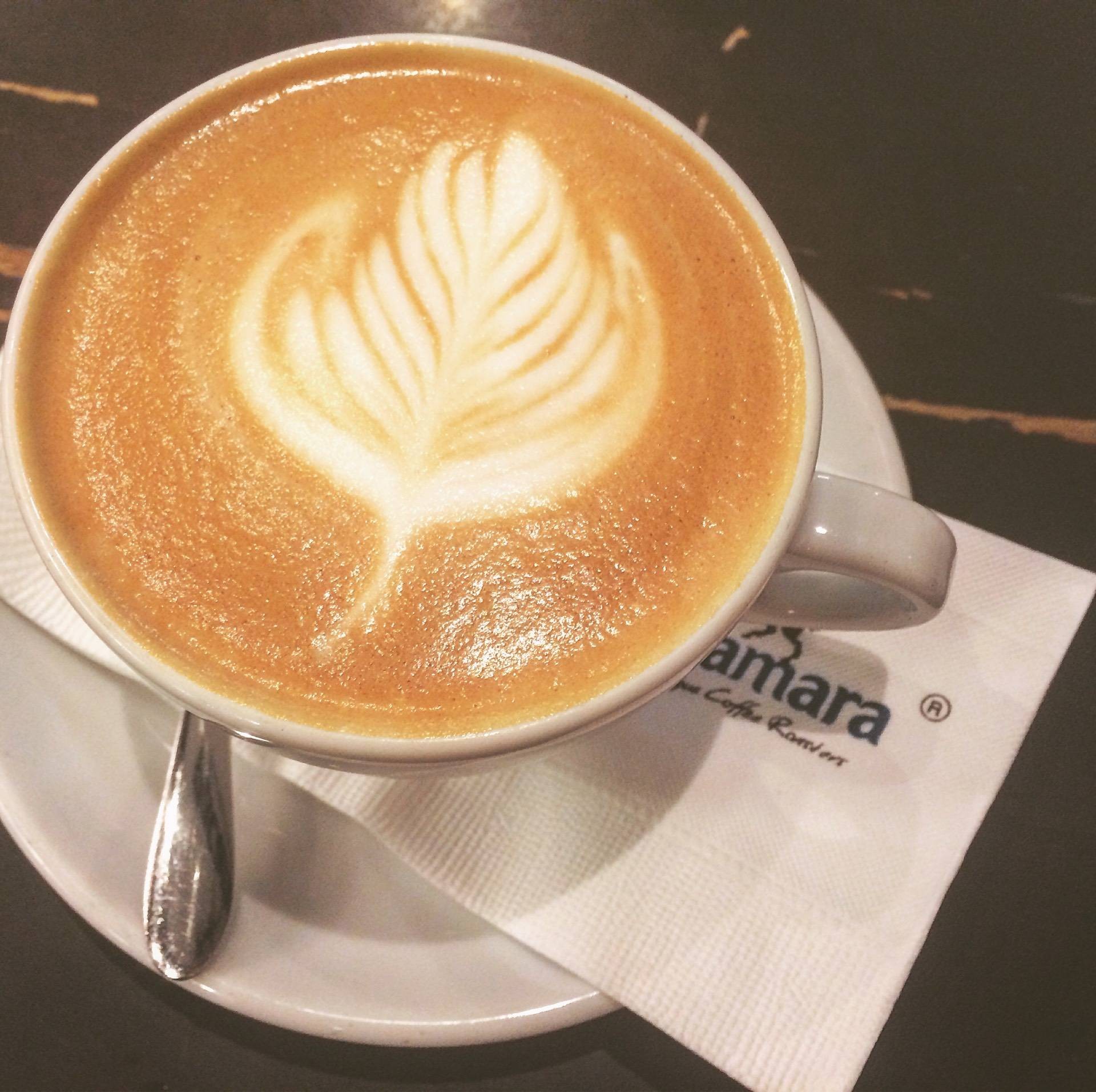 รีวิว PACAMARA Rain Hill - ร้านสำหรับคอกาแฟ