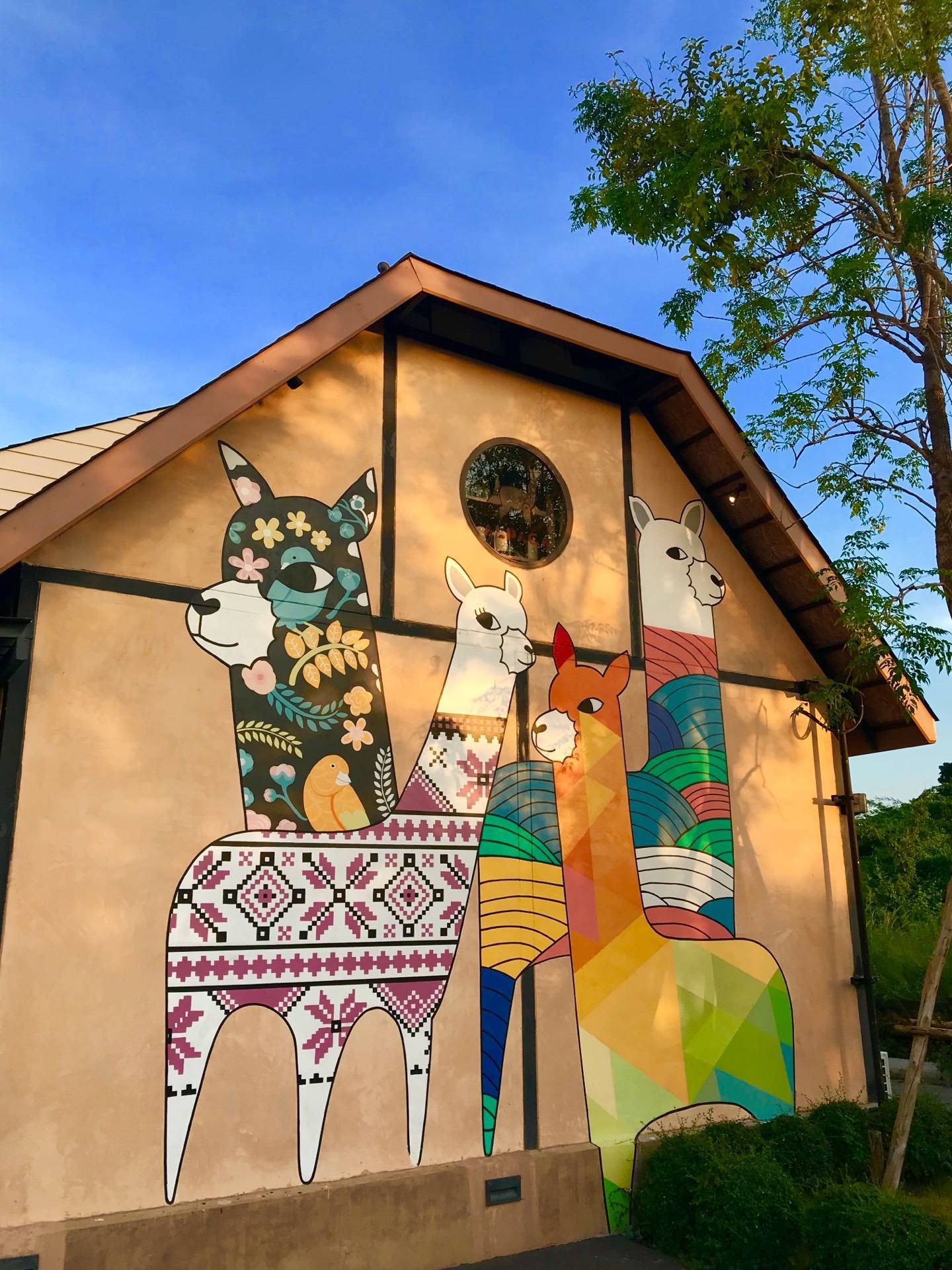 รีวิว Alpaca Restaurant Cha-Am - ร้านอาหารบรรยากาศดี&อัลปาก้าน่ารัก