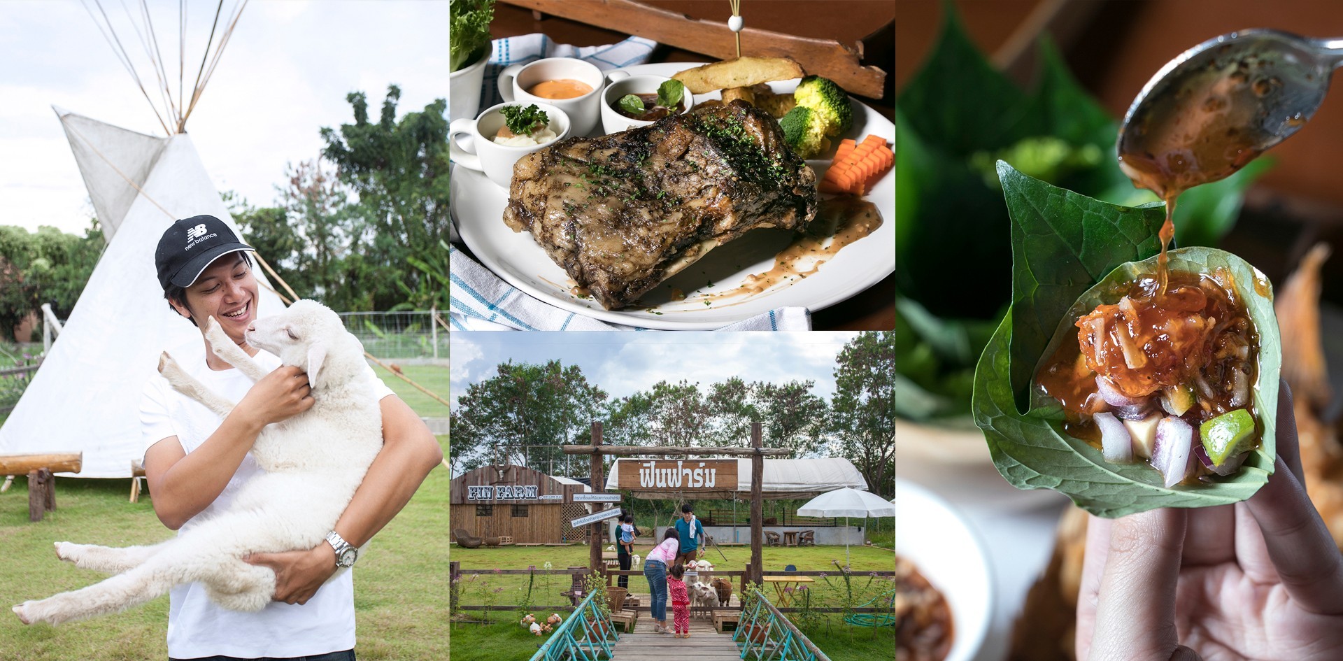 อยากได้บรรยากาศดี มีฟาร์มแกะ อาหารถูกใจ ต้องไปที่ Fin Farm เชียงใหม่