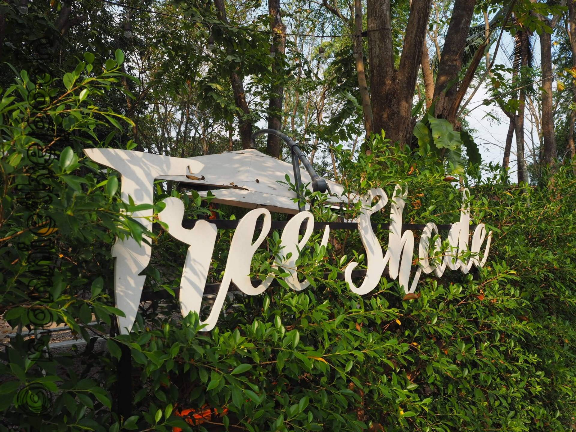 รีวิว Tree Shade ดำเนินสะดวก - ชิลๆ ใต้ร่มไม้ - Wongnai