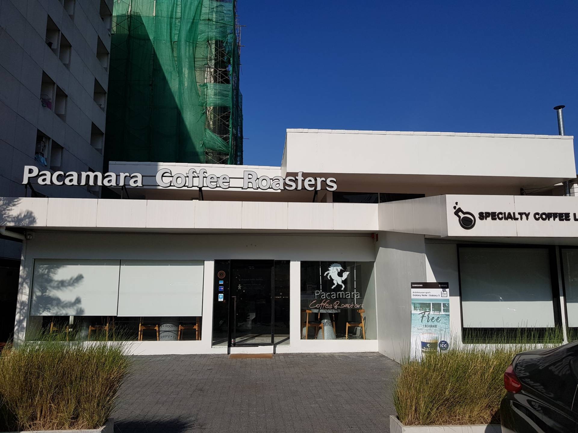 รีวิว PACAMARA Thonglor 25 - เป็นร้านกาแฟที่พนักงานเยอะมากๆ กลิ่นกาแฟ ...