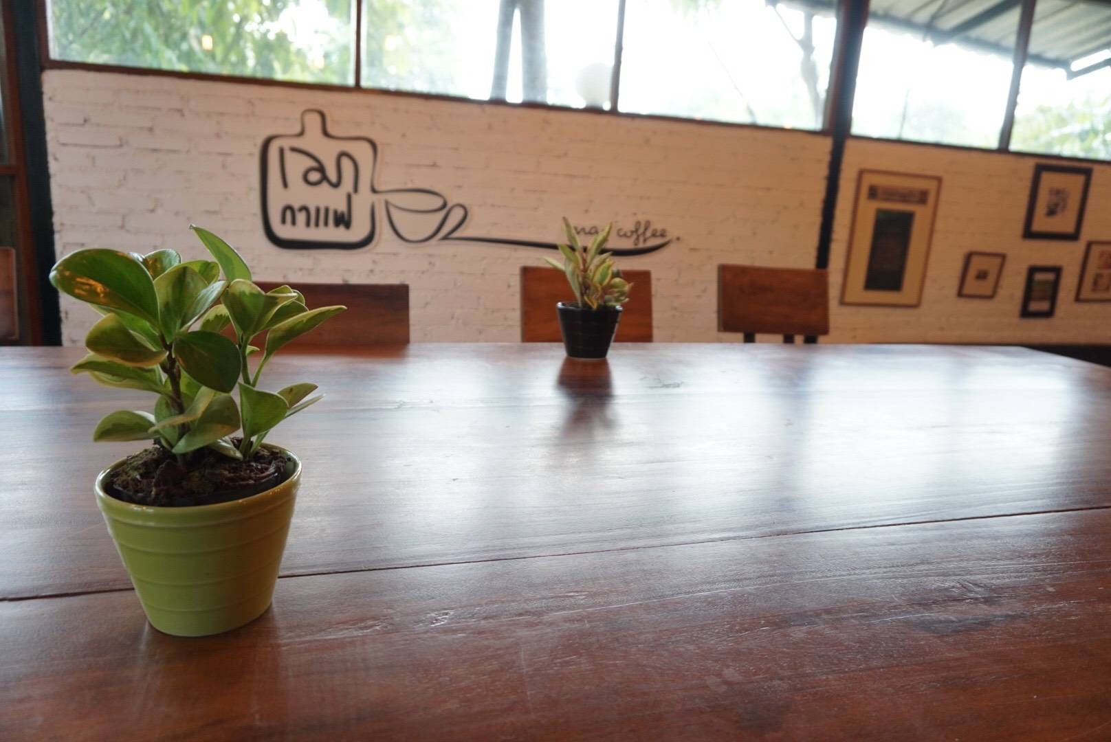 รีวิว Mao Coffee - หลบหลีกความวุ่นวายในเมืองไปเมากาแฟกัน