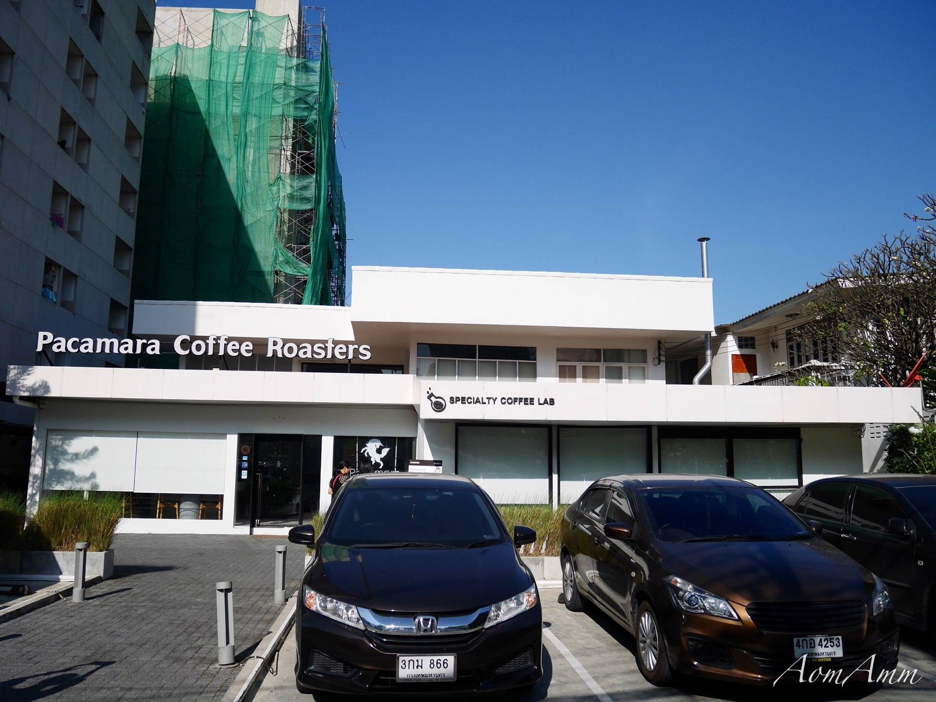 รีวิว PACAMARA Thonglor 25 - มาร้านนี้ควรสั่งกาแฟนะ - Wongnai