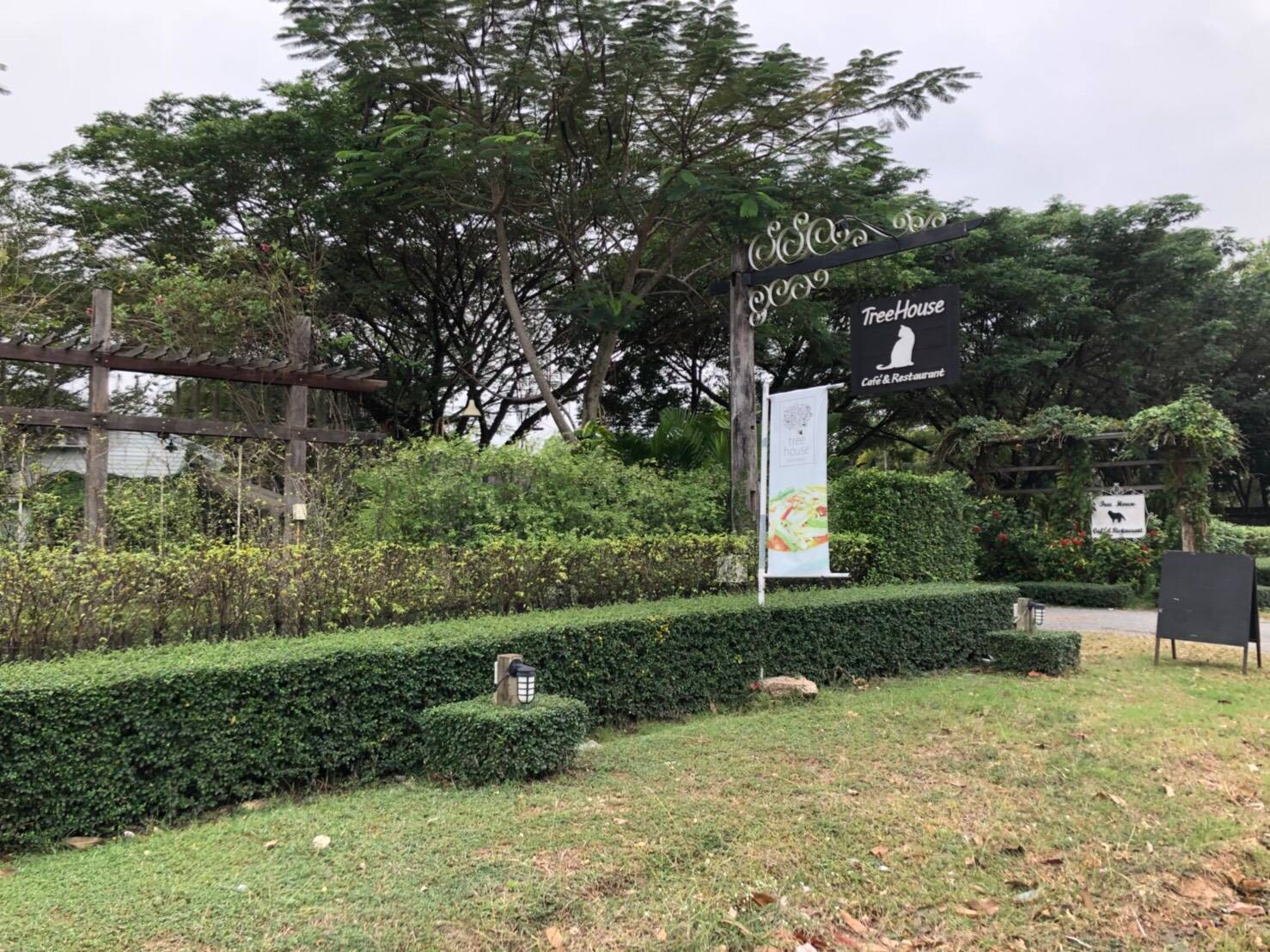 รีวิว Tree House Cafe & Restaurant - บรรยากาศเริ่ด อาหารอร่อย