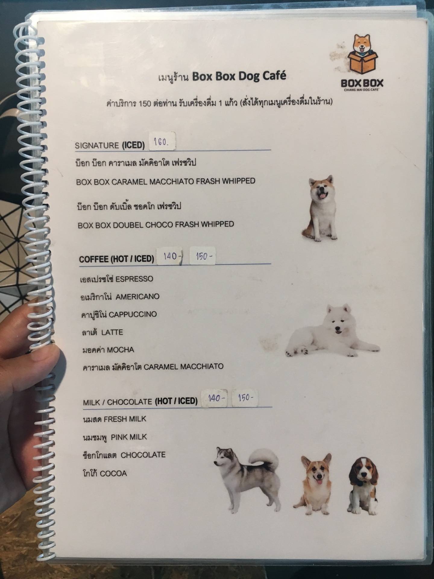 รูป Box Box Dog Cafe สาขา1 แม่โจ้