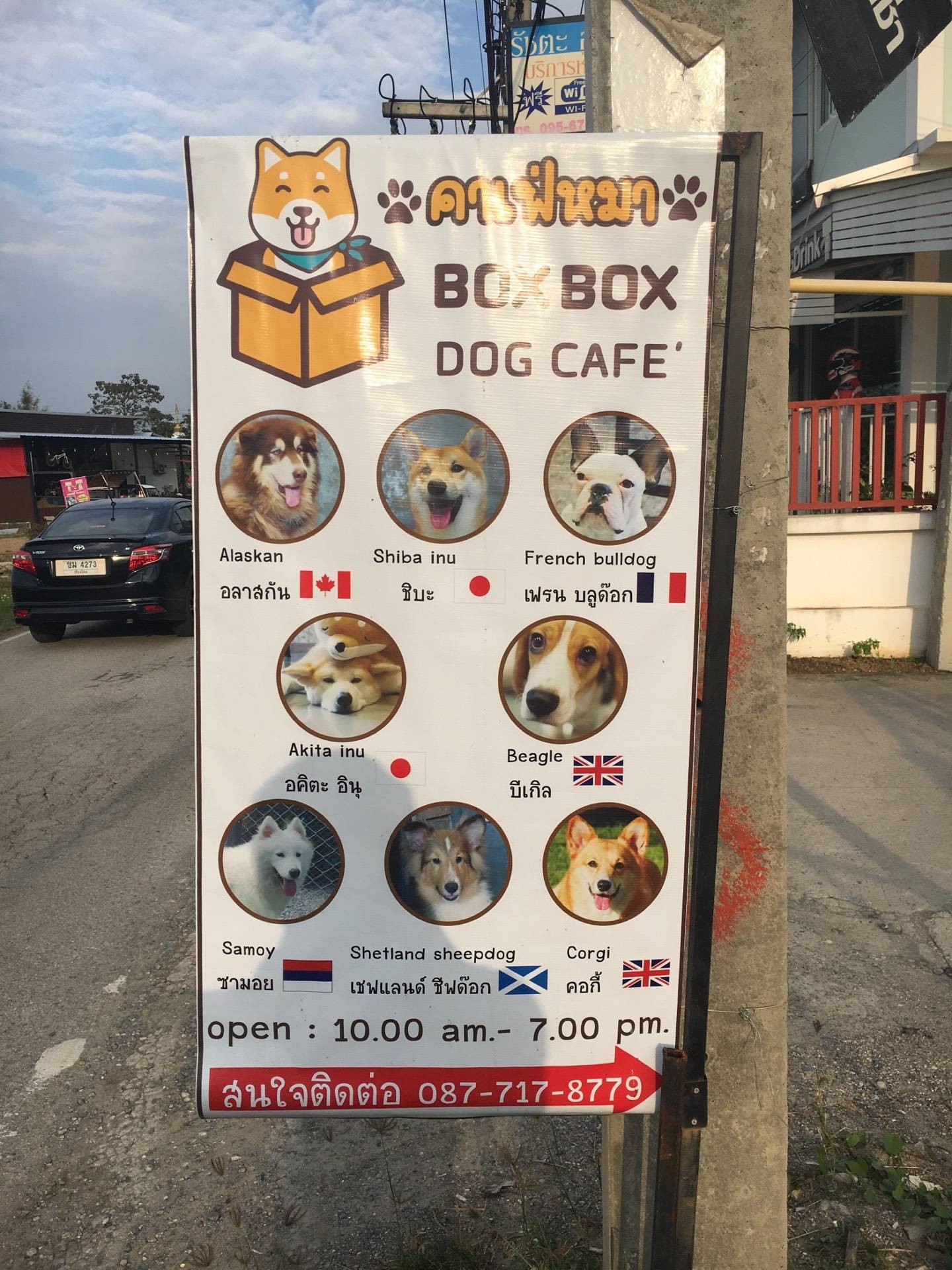 รูป Box Box Dog Cafe สาขา1 แม่โจ้