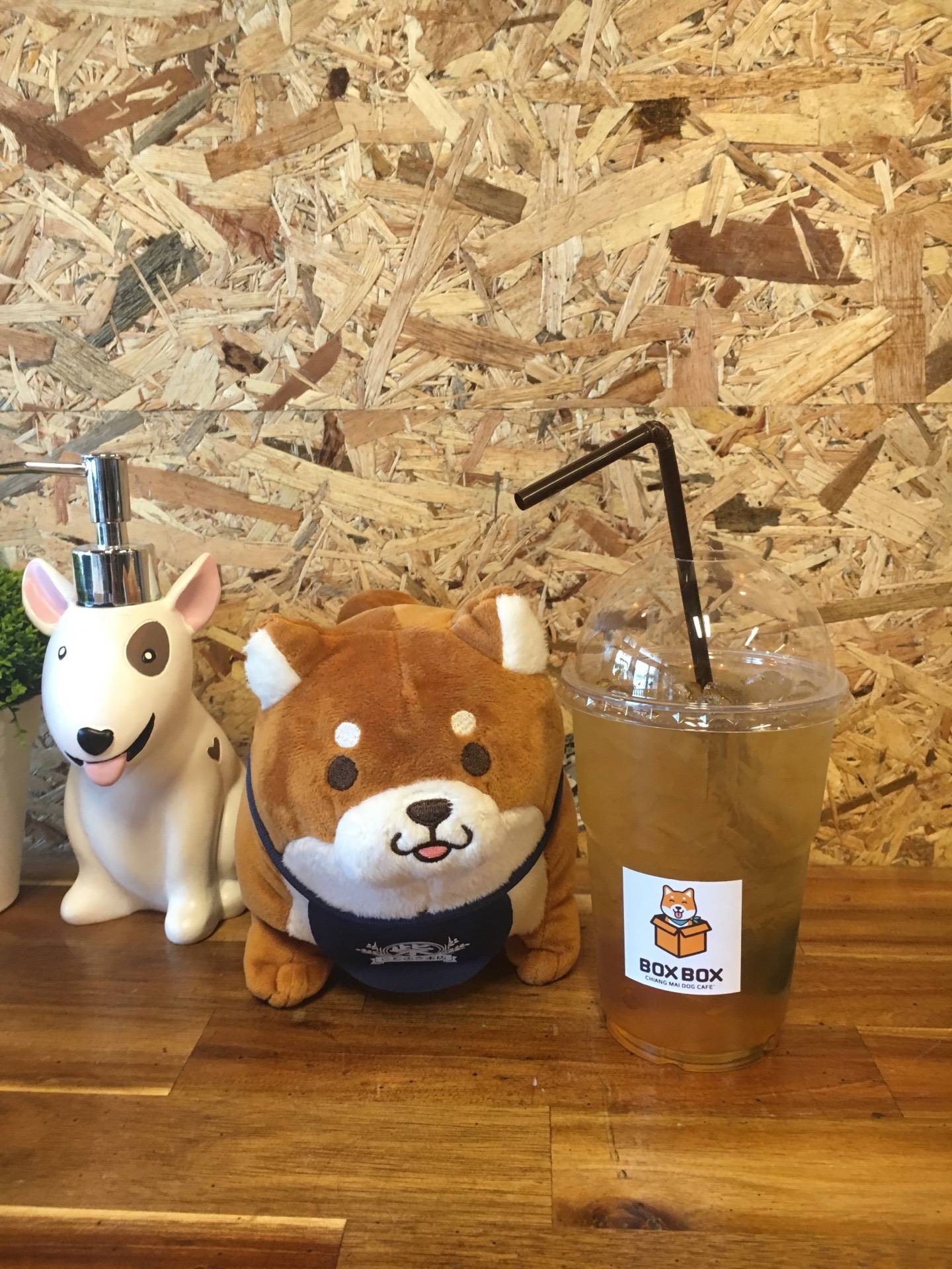 ร้าน Box Box Dog Cafe สาขา2 มช | รีวิวร้านอาหาร - Wongnai