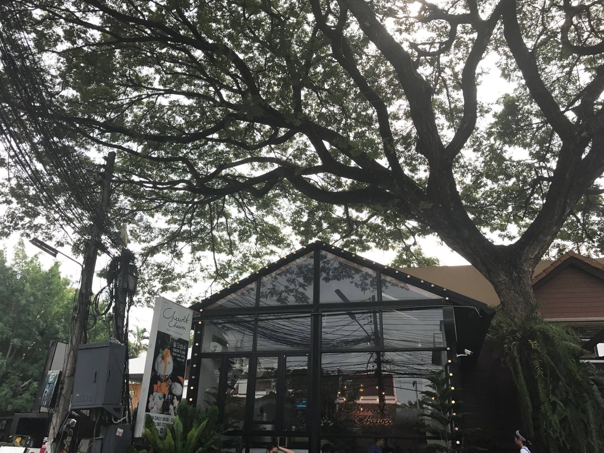 รีวิว Cheevit Cheeva ศิริมังคลาจารย์ ซอย 7 - ชีวิตชีวา ร้าน A-must ที่ ...